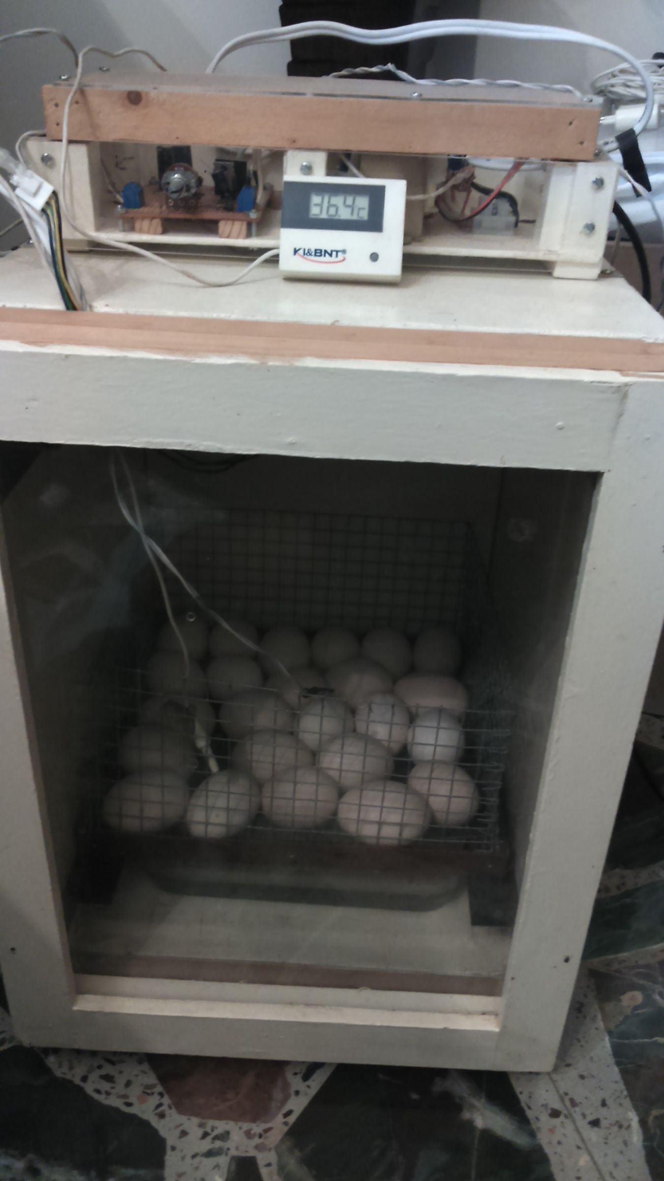 Automatic Egg Incubator : 4 Steps (with Pictures) - Instructables