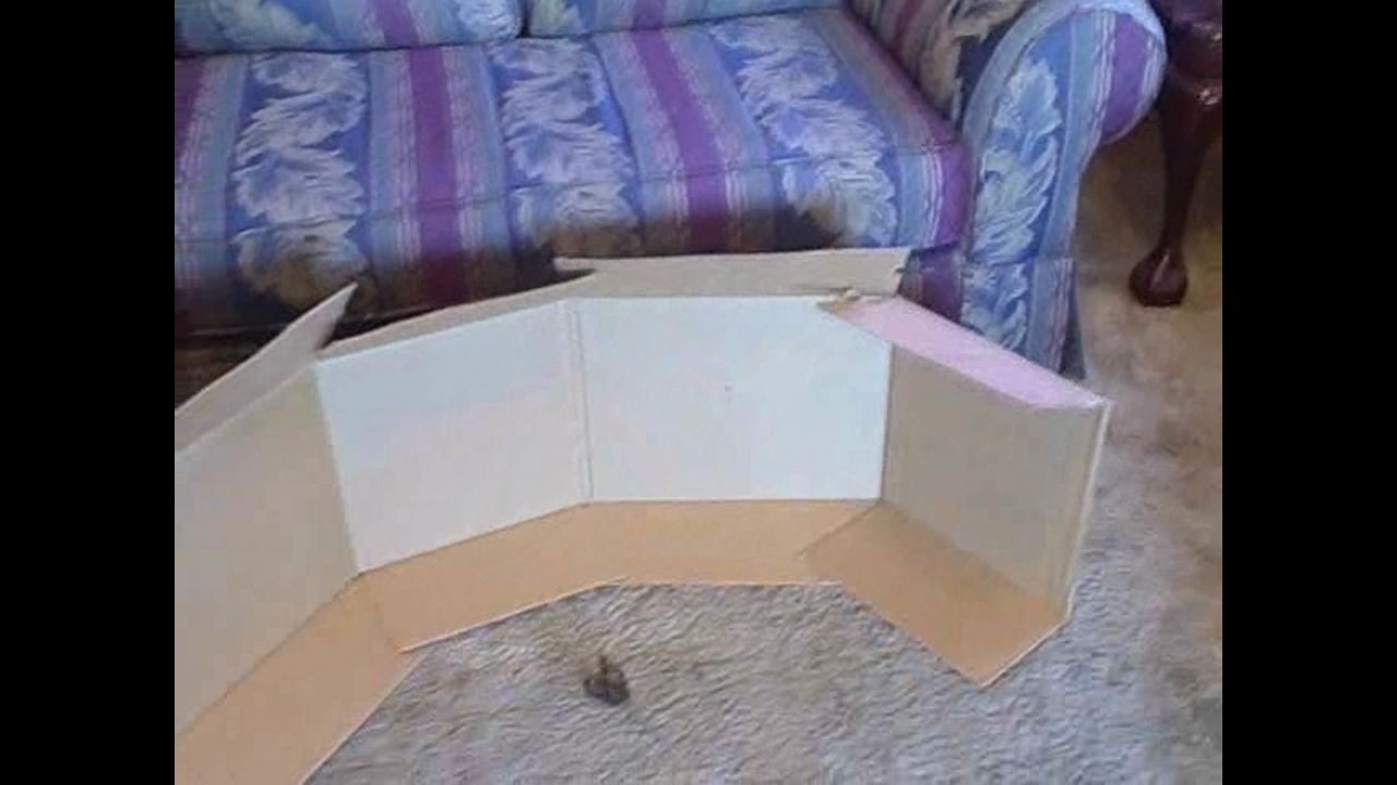 Simplest Solar Cooker Ever! (cardboard and Foil Oven) Cheapest/easiest ...