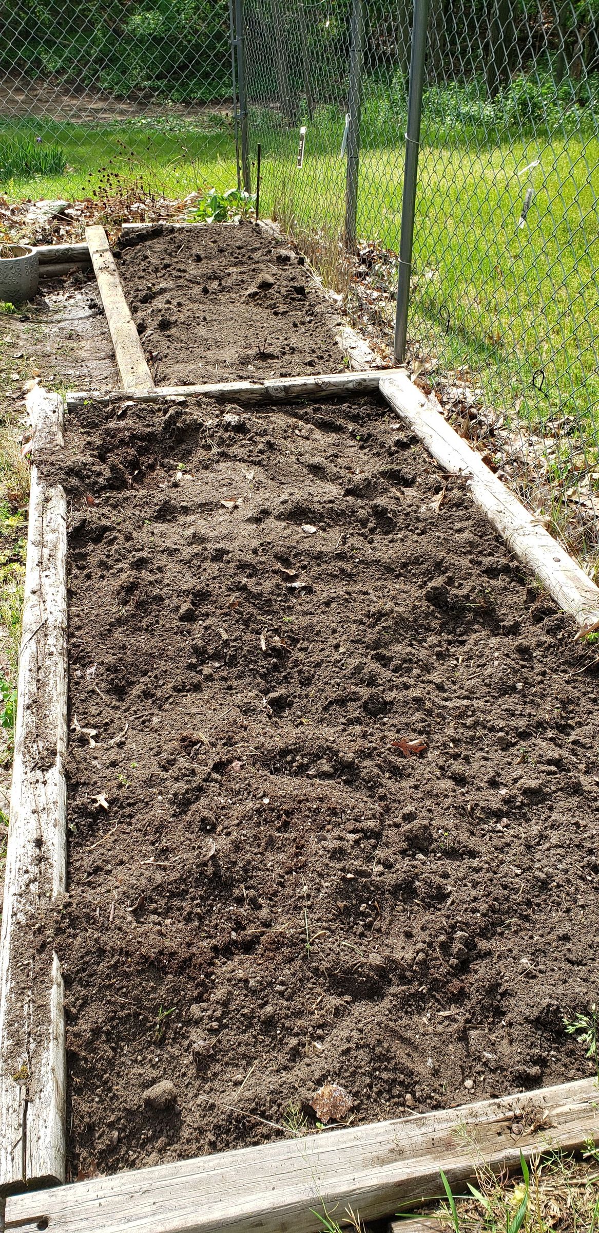 Growing Hops at Home : 4 Steps - Instructables