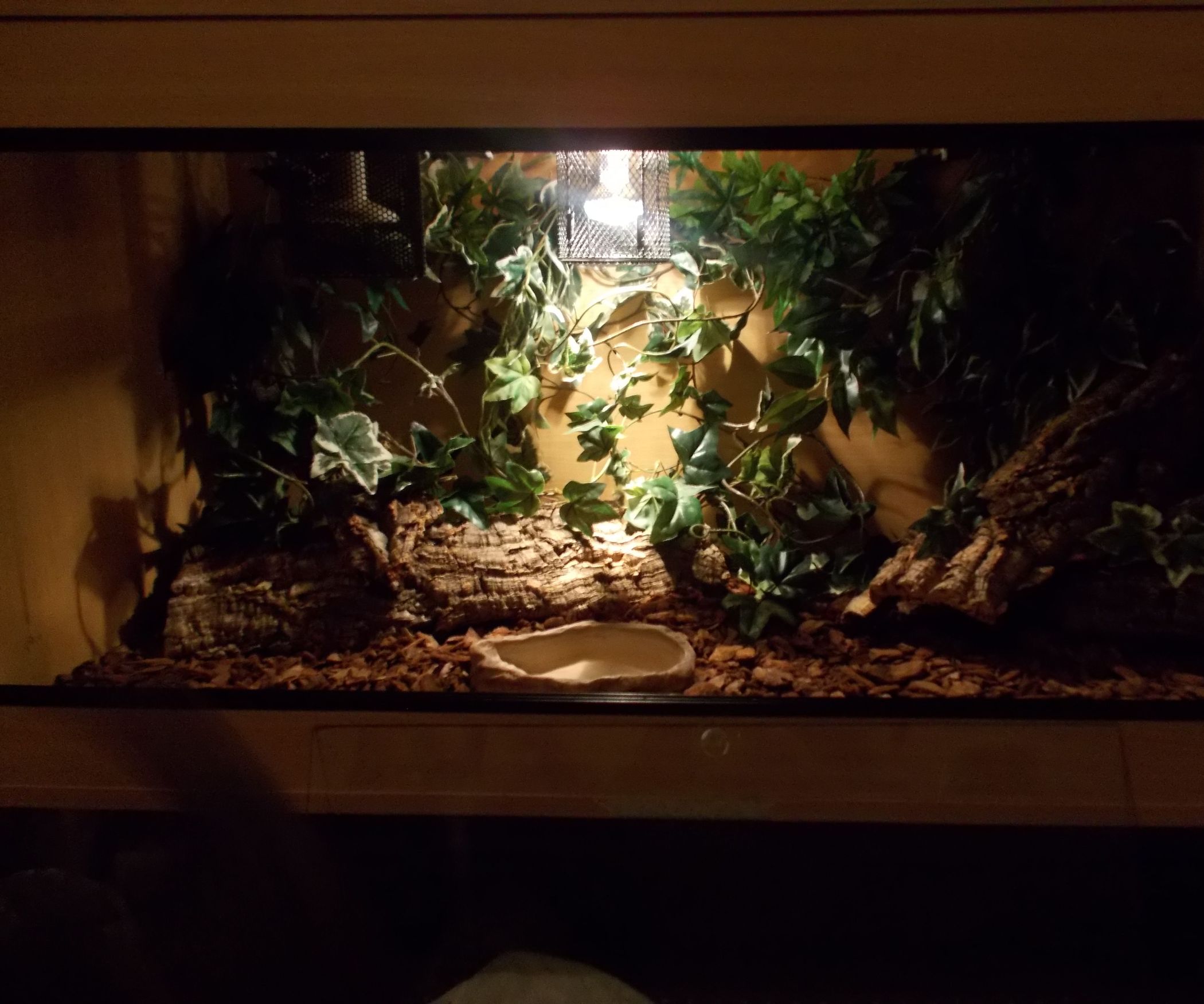 How to Setup a Snake Viv : 13 Steps - Instructables