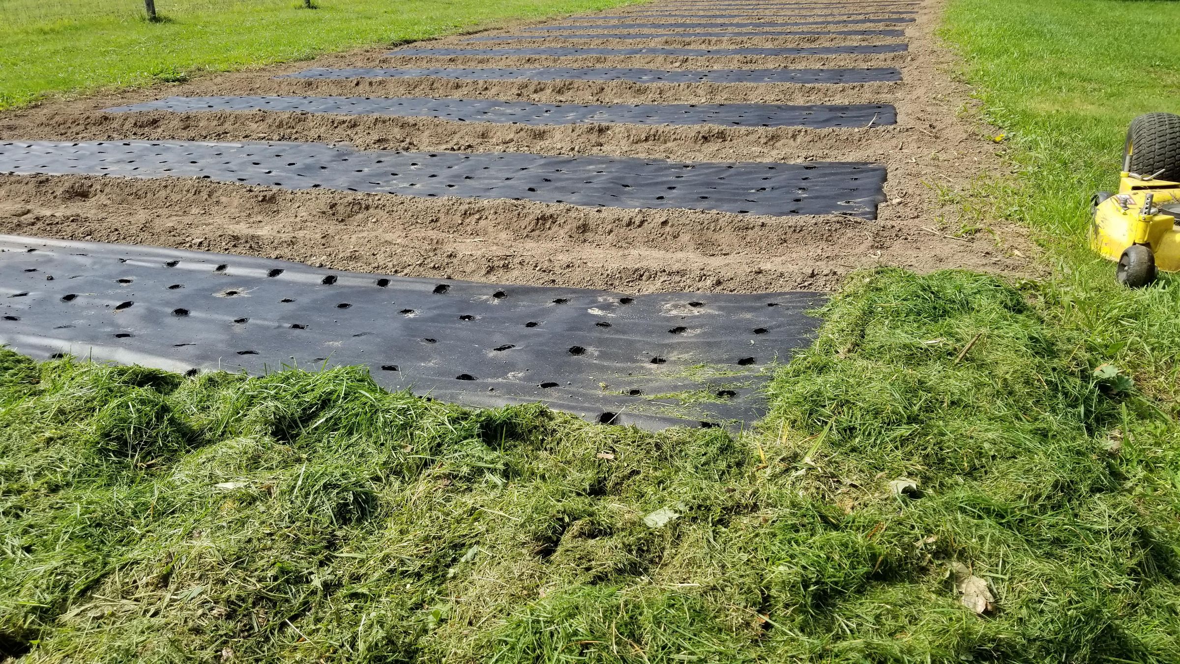 Garlic Gardening : 49 Steps (with Pictures) - Instructables