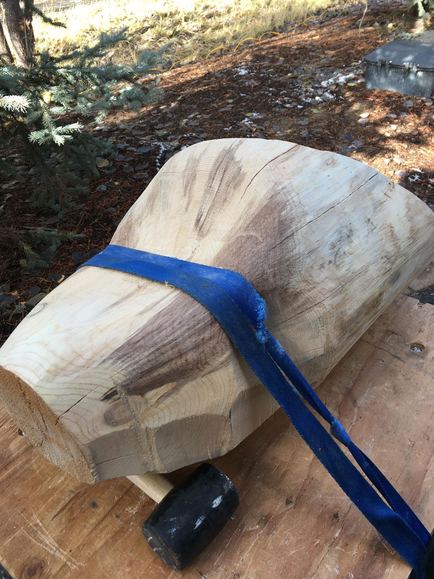 Wooden Deer Head : 11 Steps (with Pictures) - Instructables