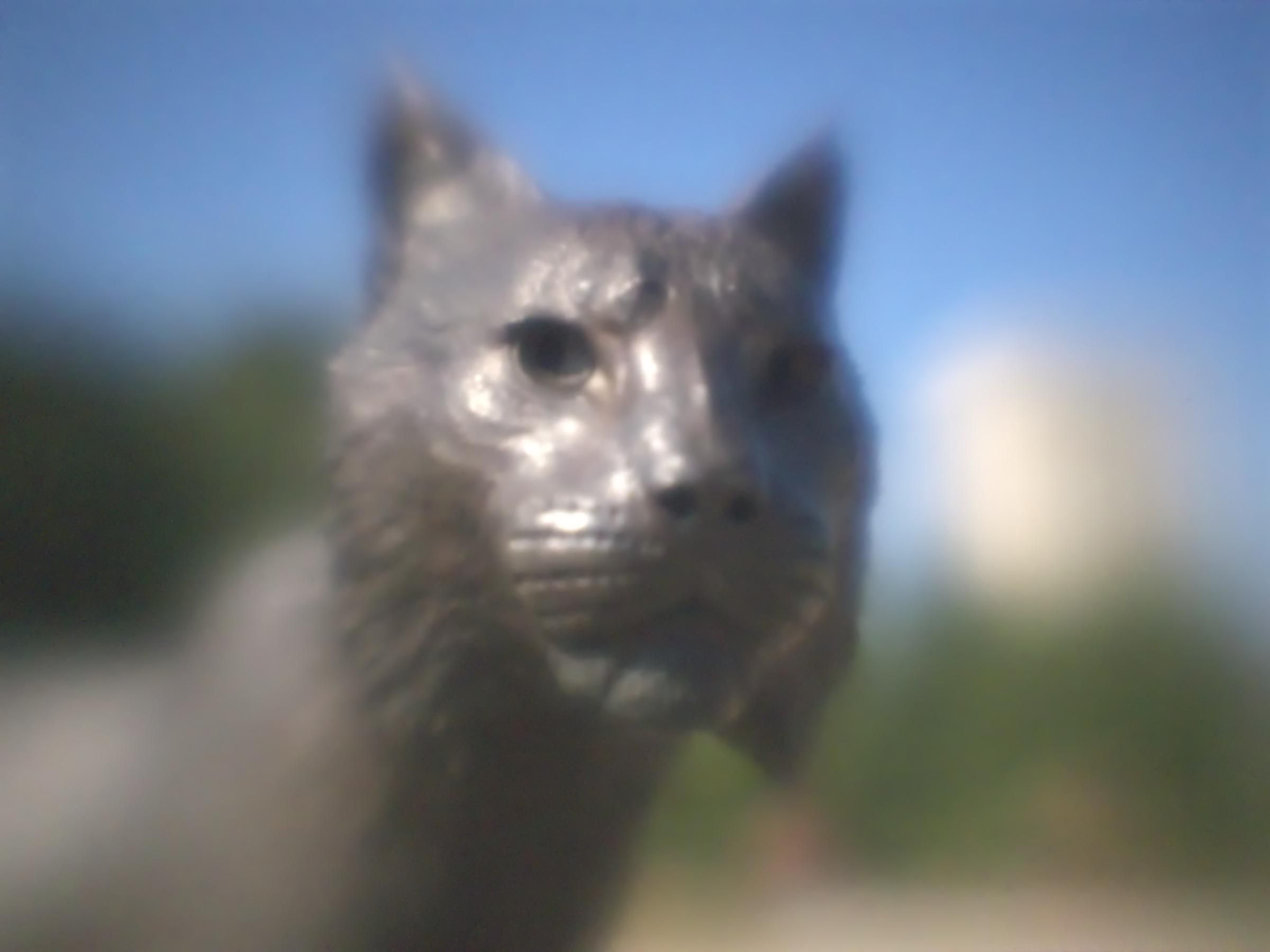 3D-printed Digital Camera Obscuras : 17 Steps (with Pictures ...