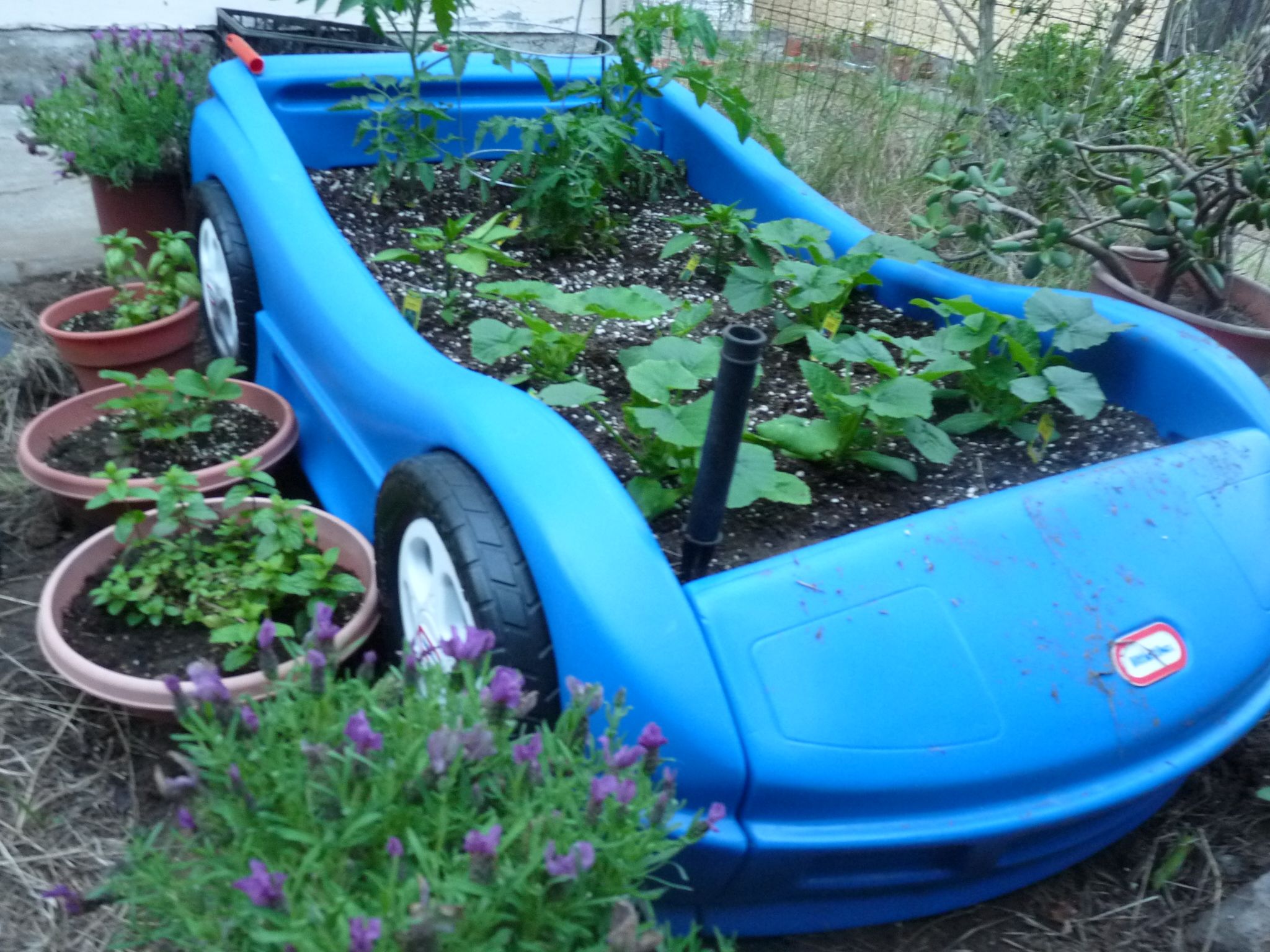 Race Car Veggie Box : 5 Steps - Instructables