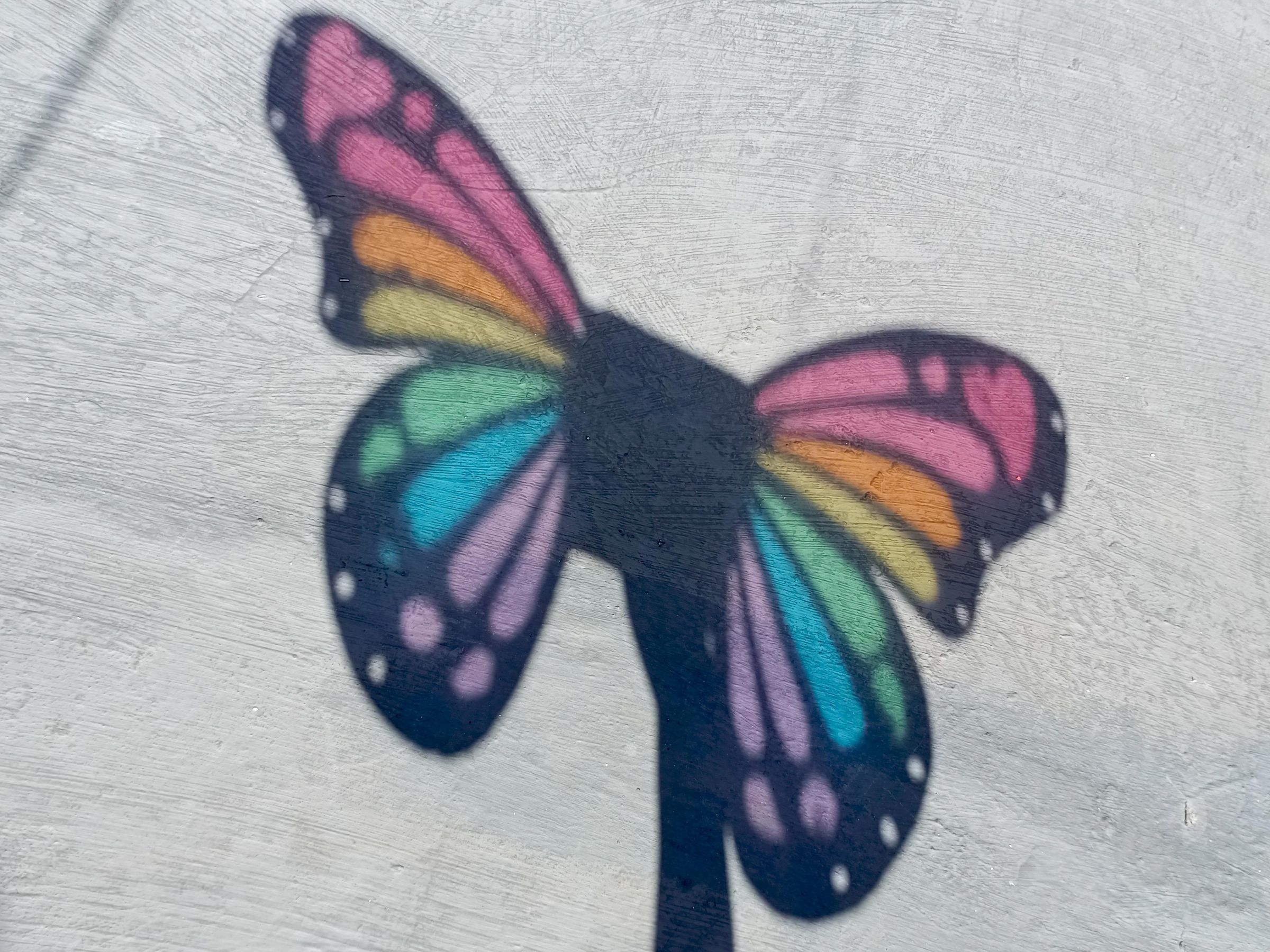 Rainbow Butterfly Wings : 10 Steps (with Pictures) - Instructables