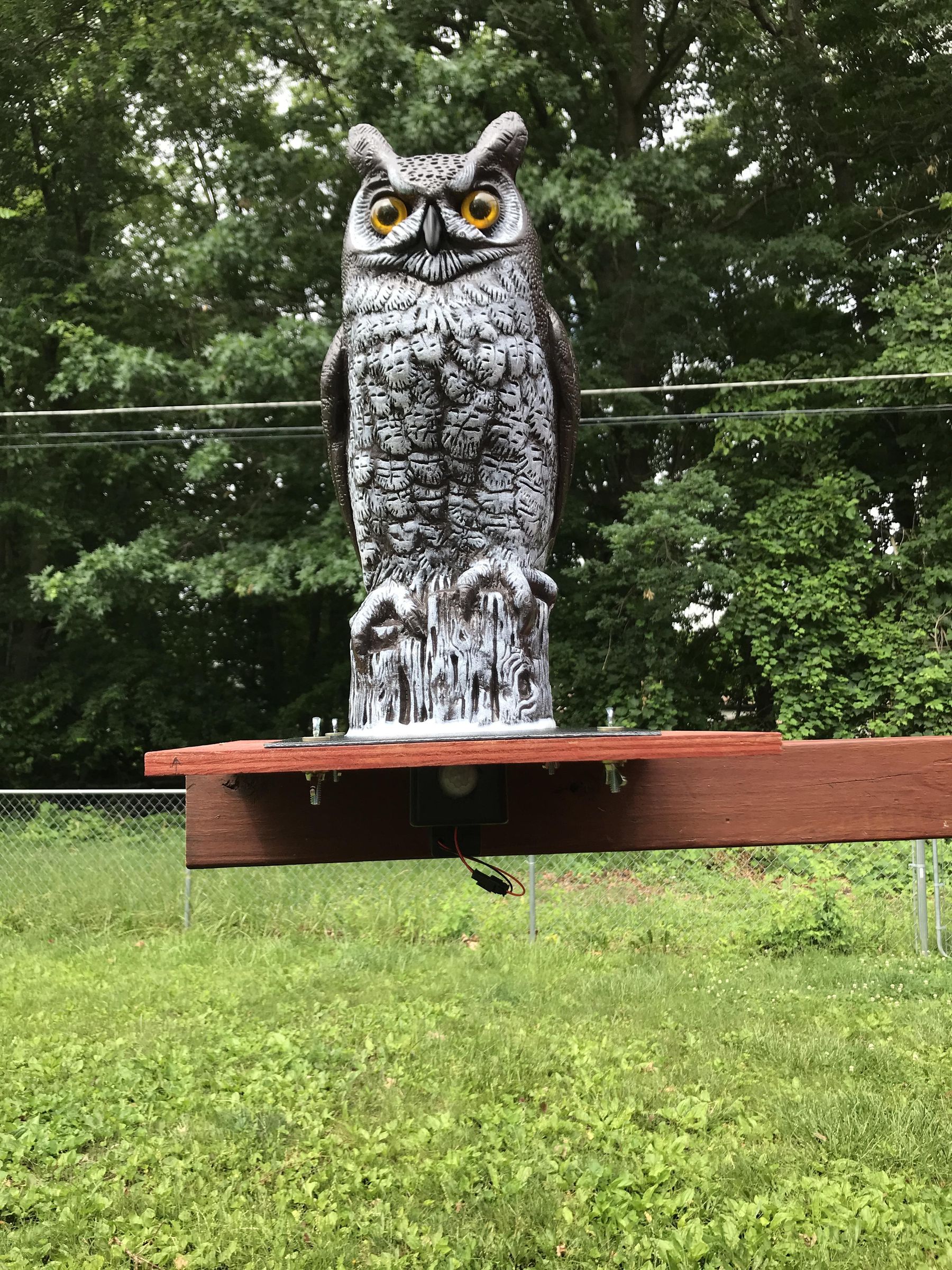 Automated Garden Owl Scarecrow : 7 Steps (with Pictures) - Instructables