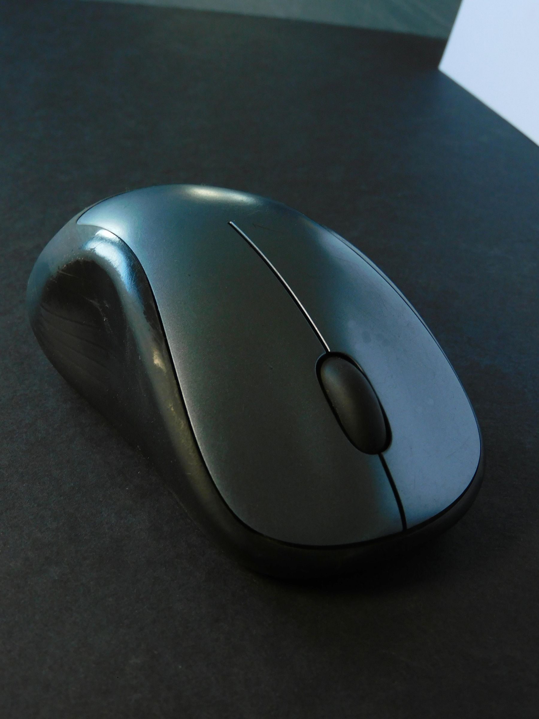 How to Make Your Loud Mouse MUCH Quieter (SO EASY!!!) : 4 Steps ...