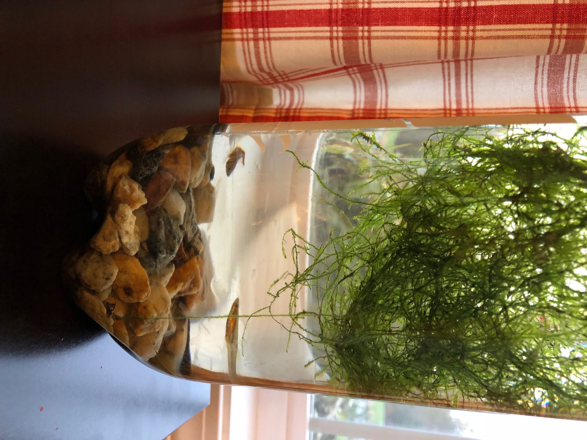 A Closed Ecosystem : 9 Steps - Instructables