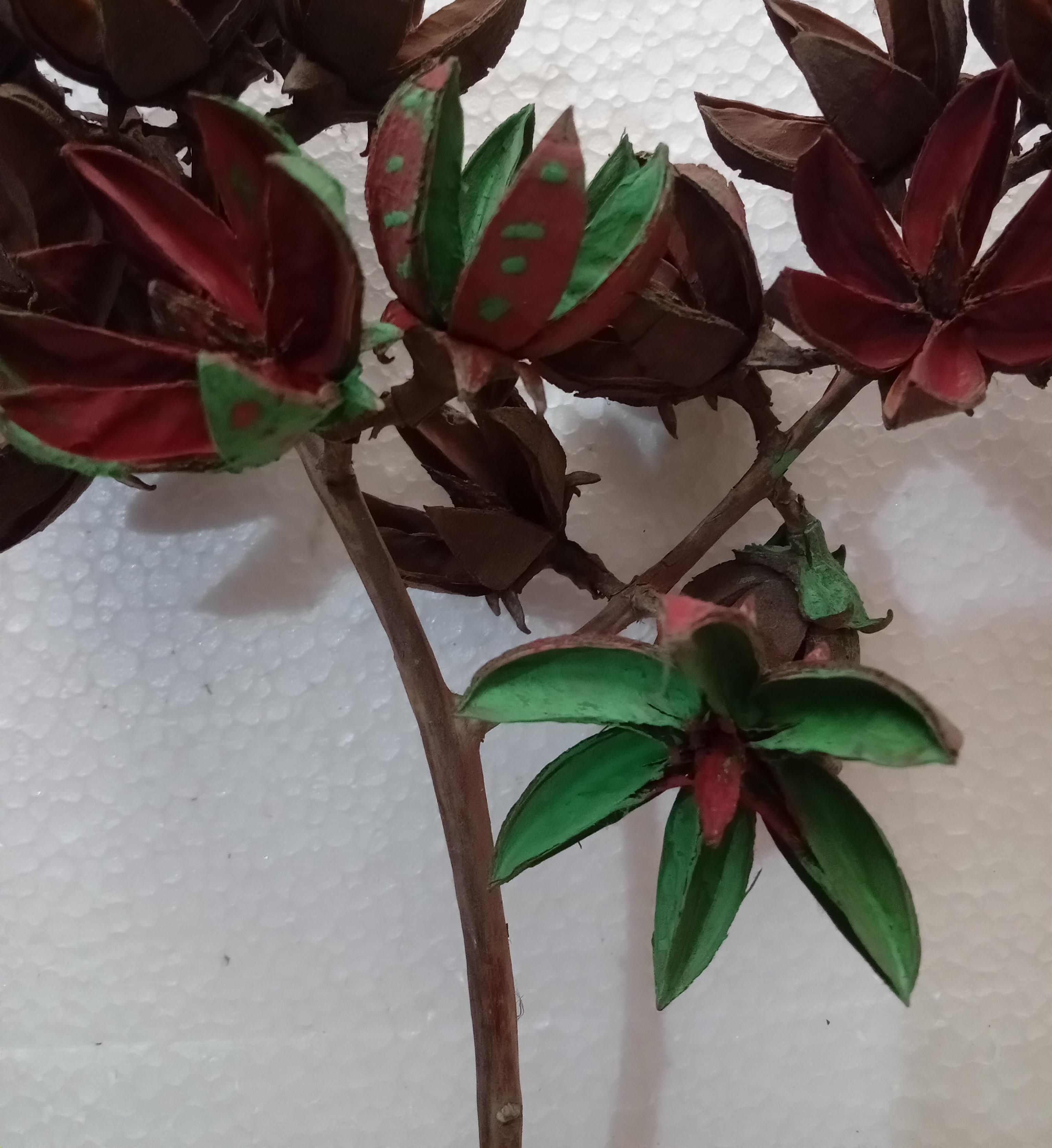 Flower Bouquet From Tamhan Fruits. : 6 Steps (with Pictures ...