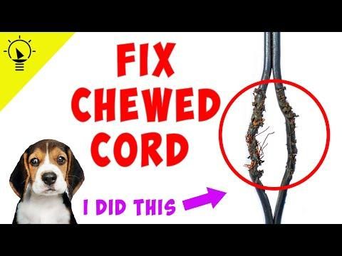 How to Fix a Cord Chewed by Your Pet : 7 Steps - Instructables