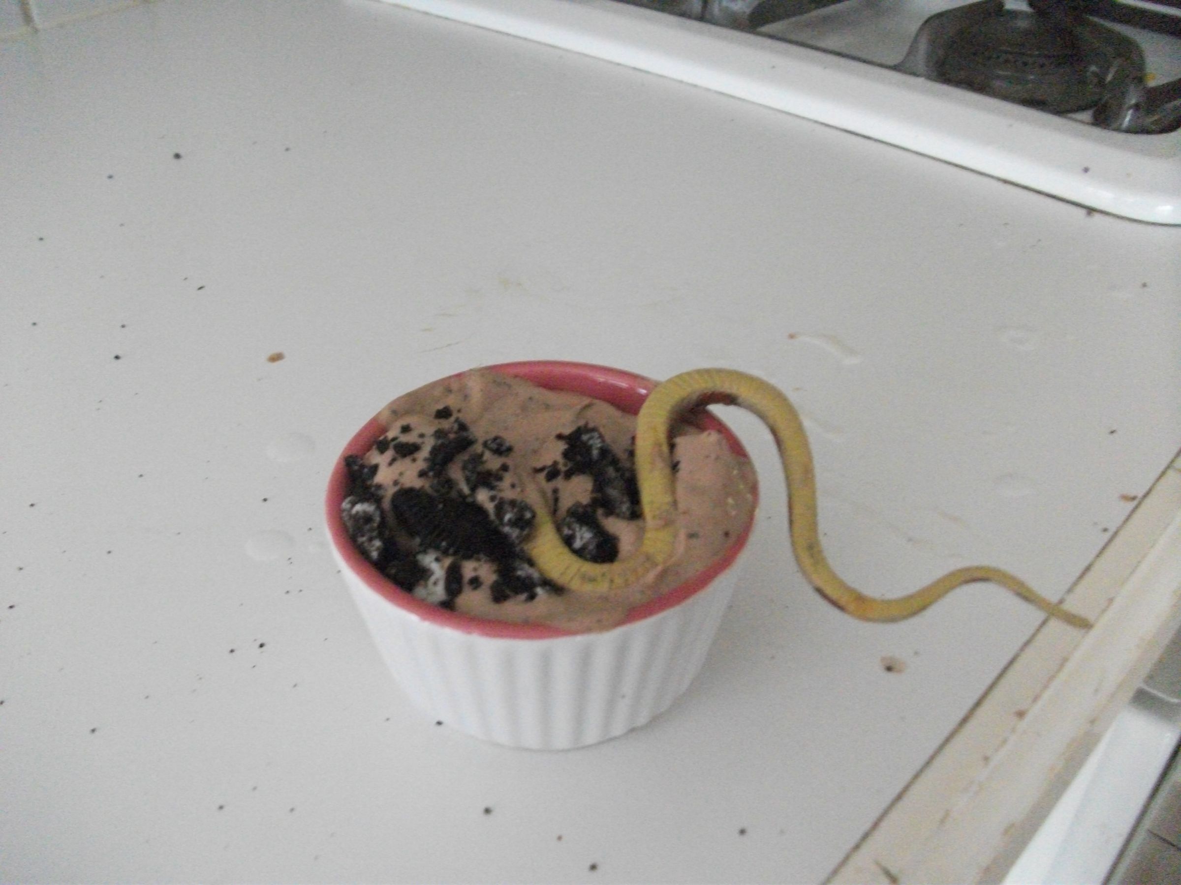 Edible Dirt - Instructables