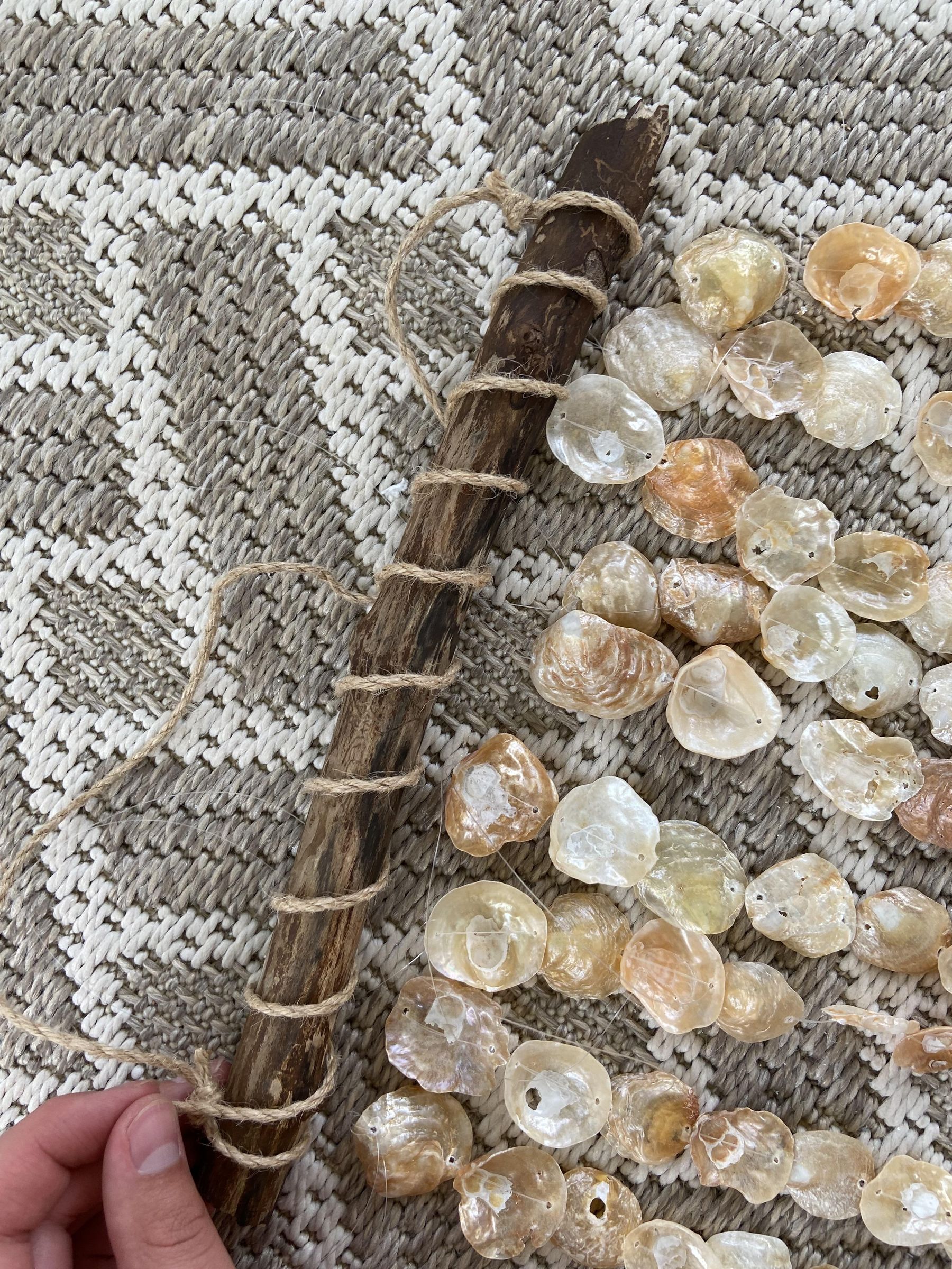 Seashell Wall Hanging : 6 Steps (with Pictures) - Instructables