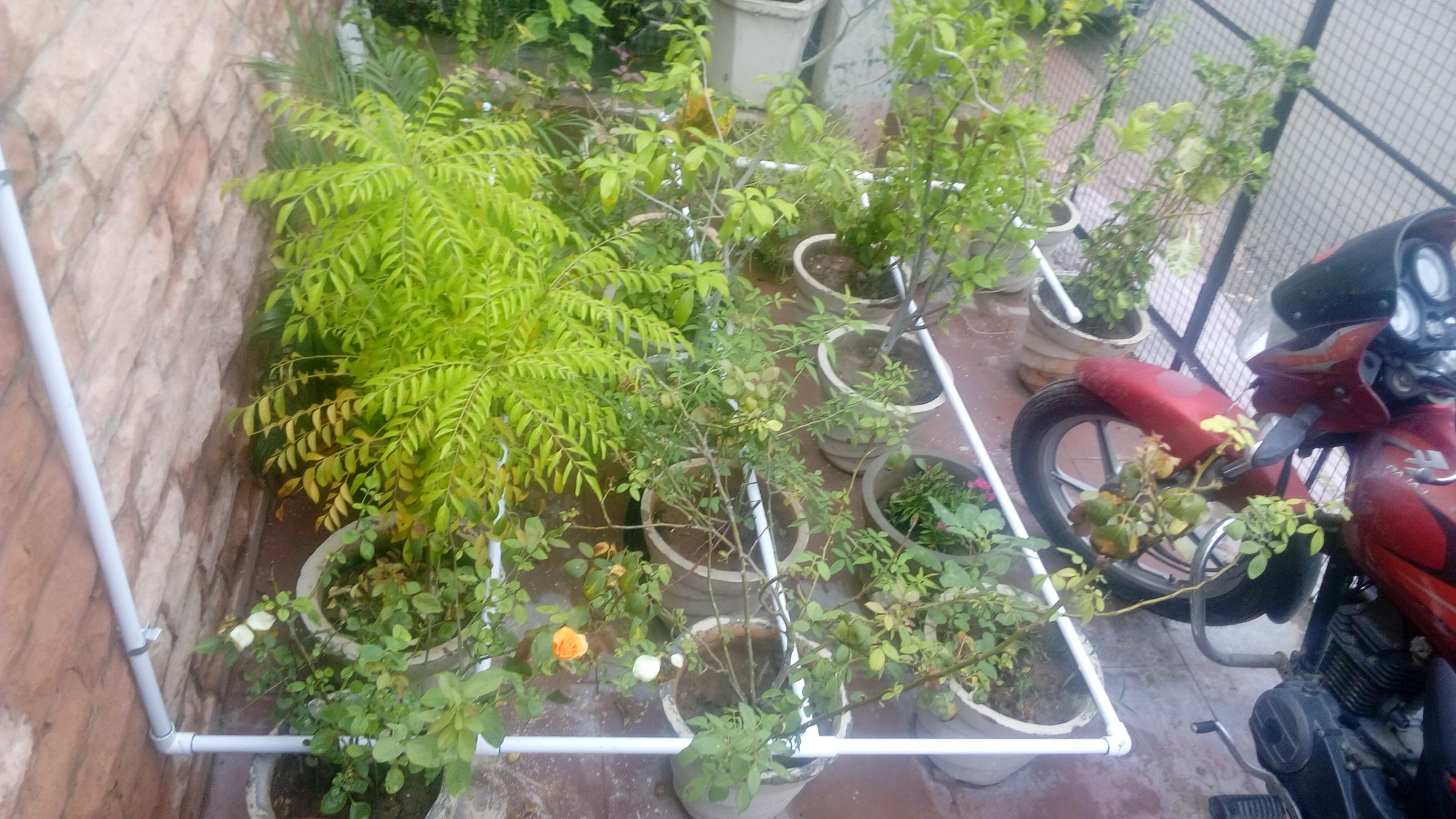 Plantation Project : 8 Steps - Instructables