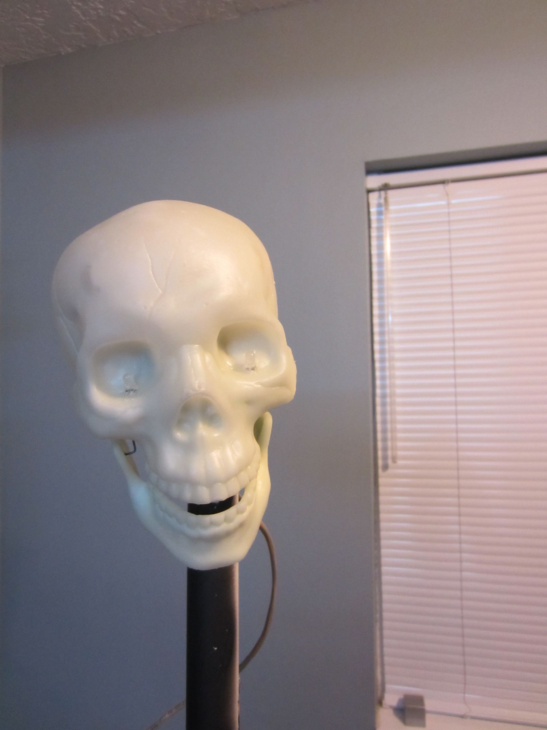 Automated Talking Skull : 10 Steps (with Pictures) - Instructables