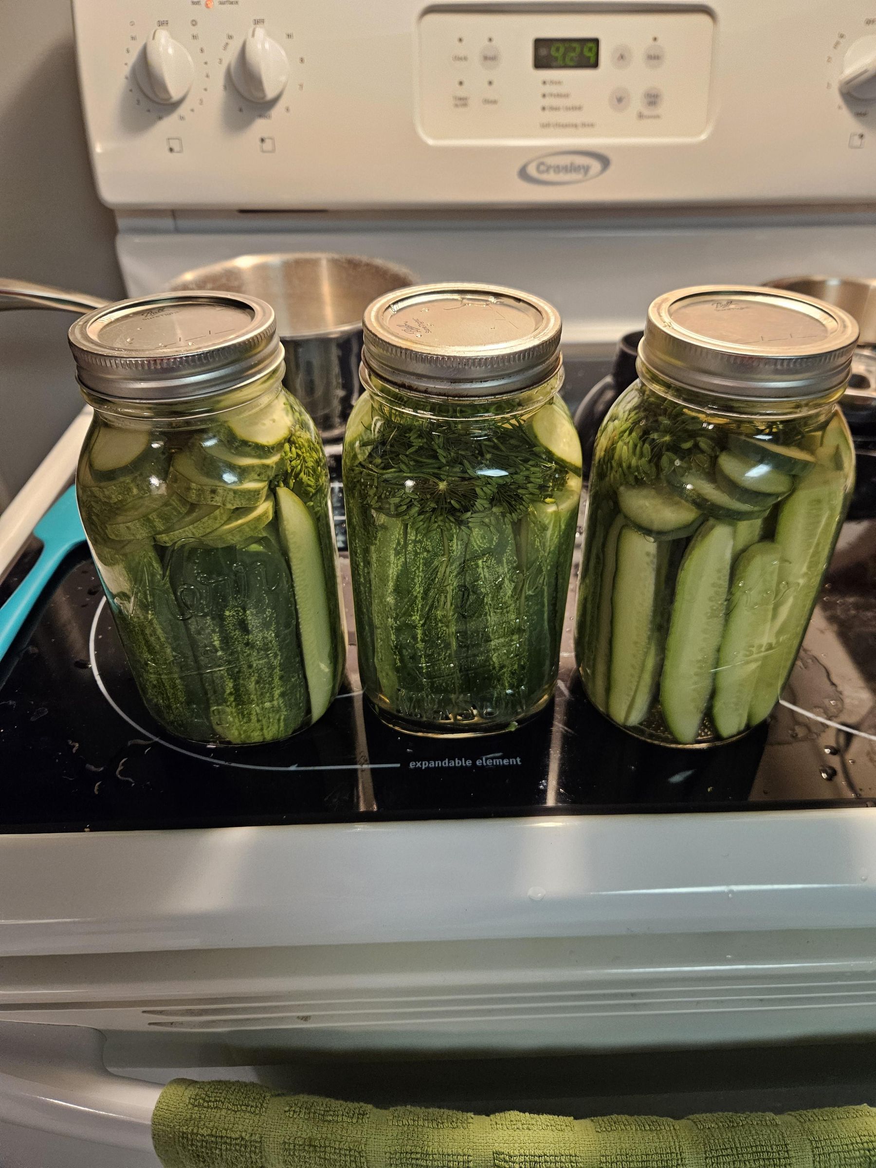 Homemade Dill Pickles : 6 Steps (with Pictures) - Instructables
