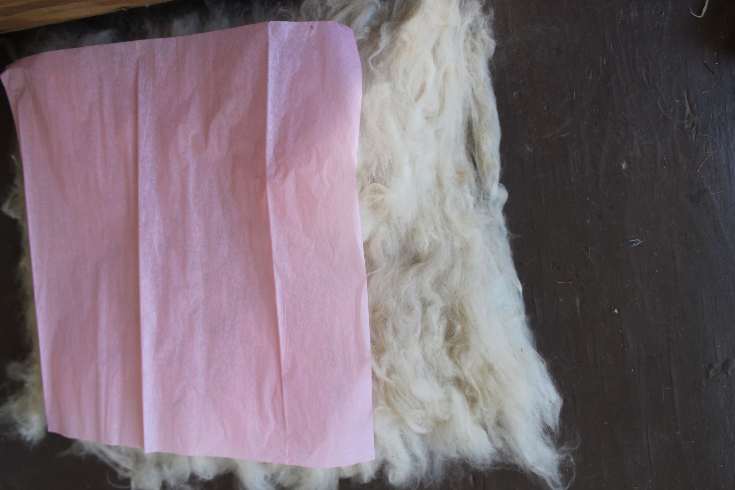 Carding Fiber : 6 Steps (with Pictures) - Instructables