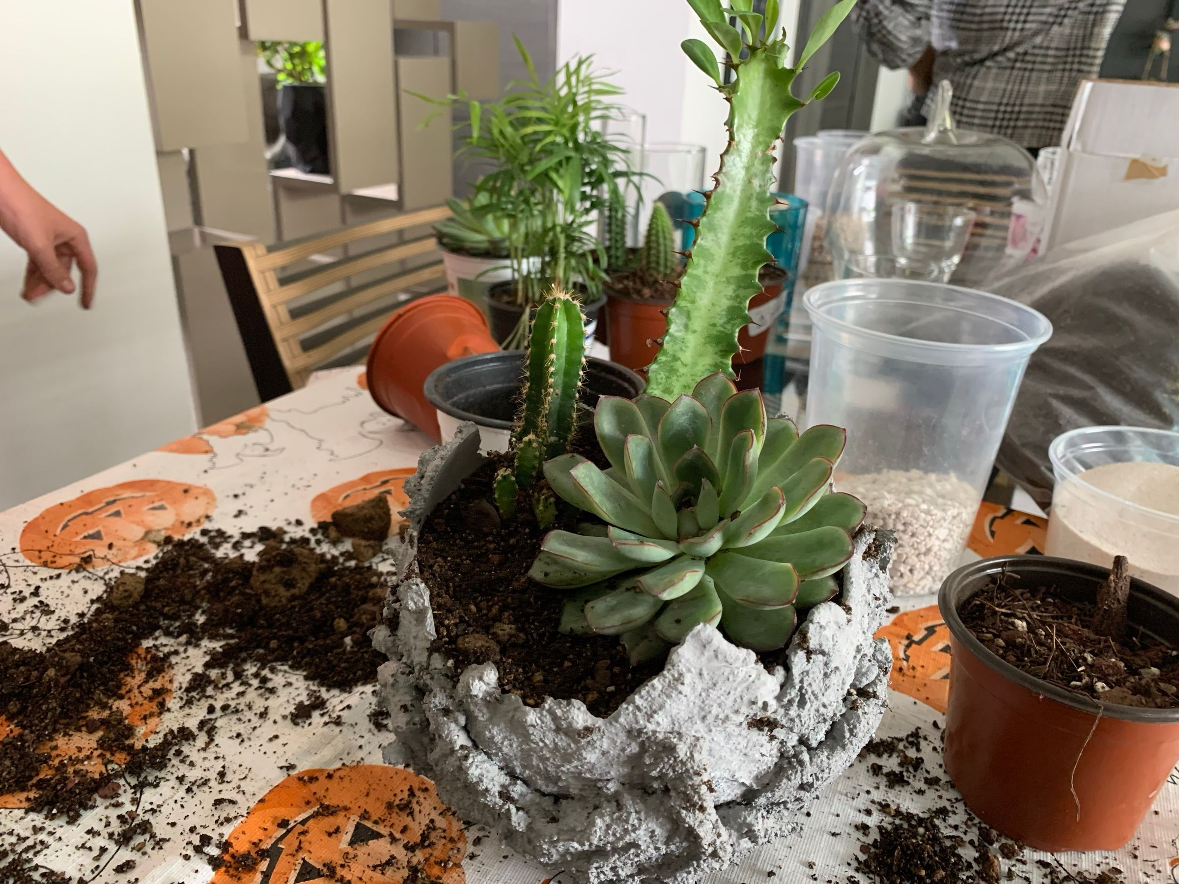 Cement Decor Planters : 10 Steps (with Pictures) - Instructables