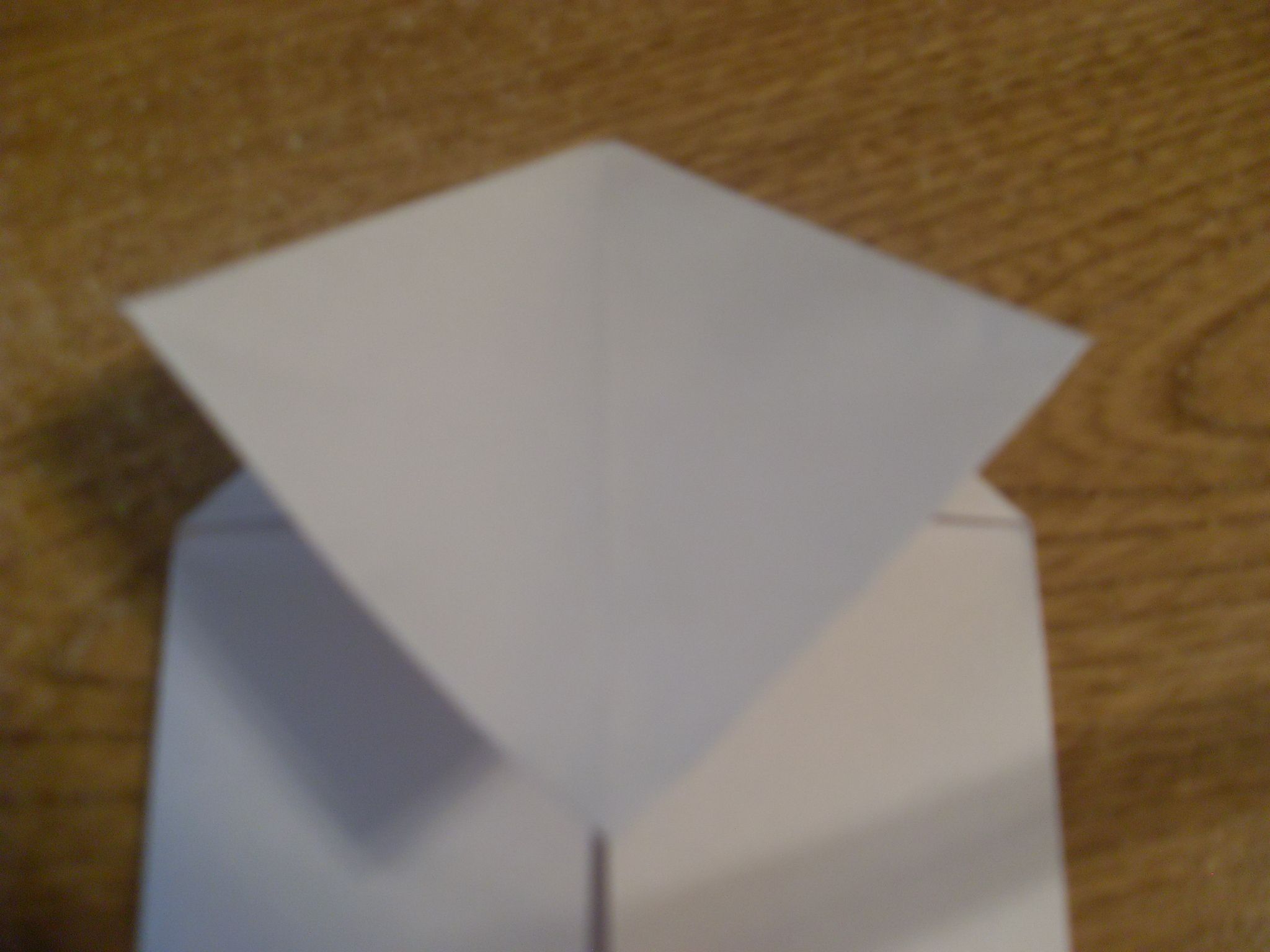 Flying Fish : 4 Steps - Instructables