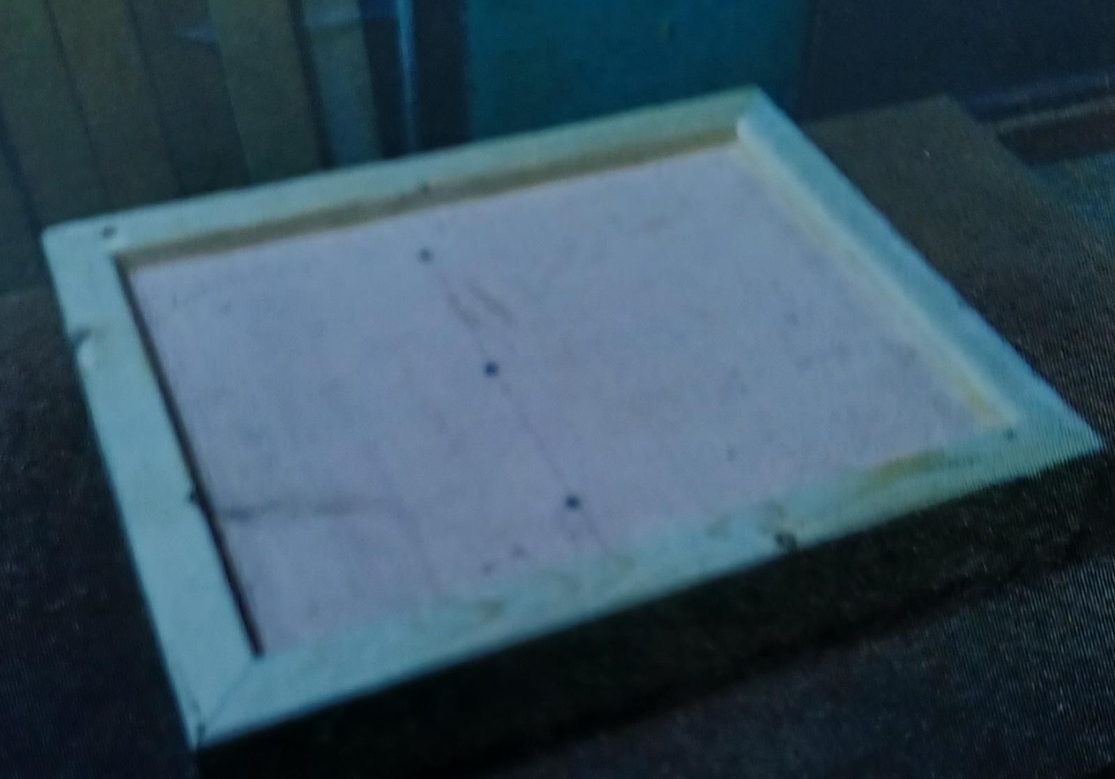 Blue Ribbon Beetle Trapping Bottom Board : 45 Steps (with Pictures ...