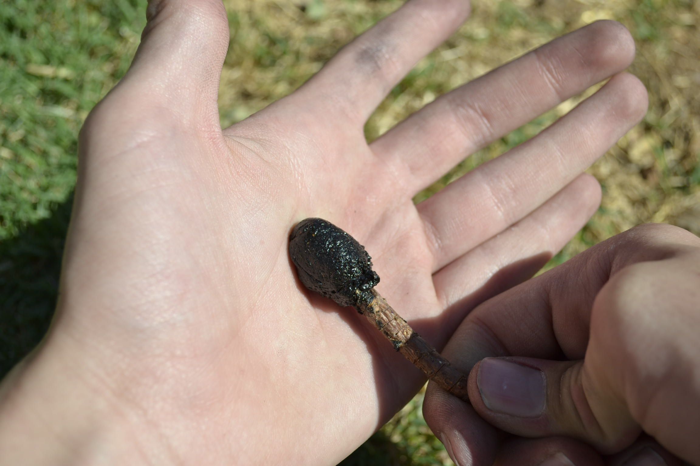 Survival Pine Tar: Pitchsticks, Fire Starter, Super Glue!! : 7 Steps ...