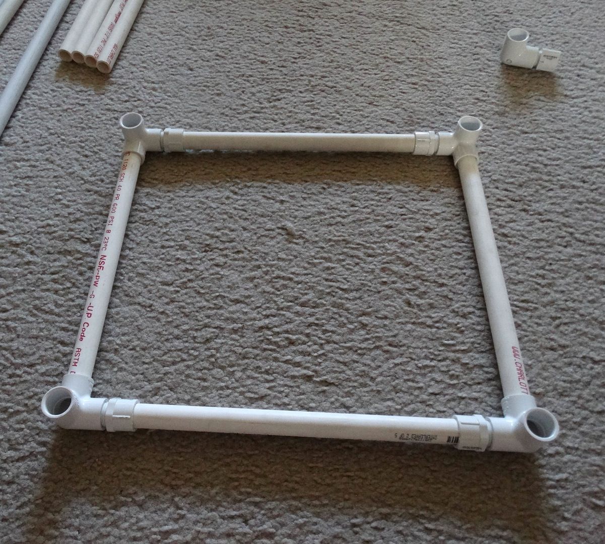 Raising Giant Silk Moths : 15 Steps (with Pictures) - Instructables