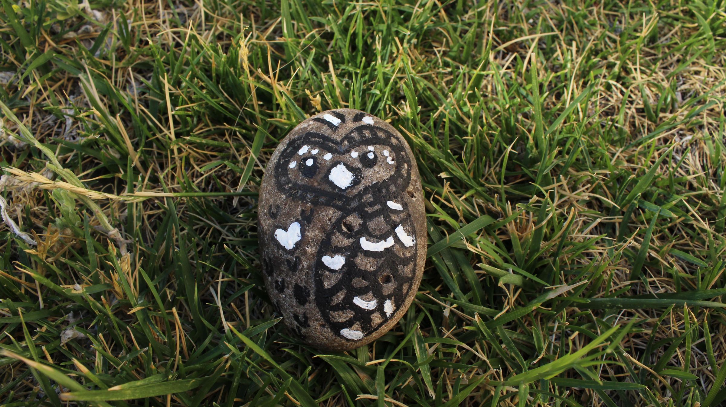 Owl Painted Garden Rocks : 6 Steps (with Pictures) - Instructables