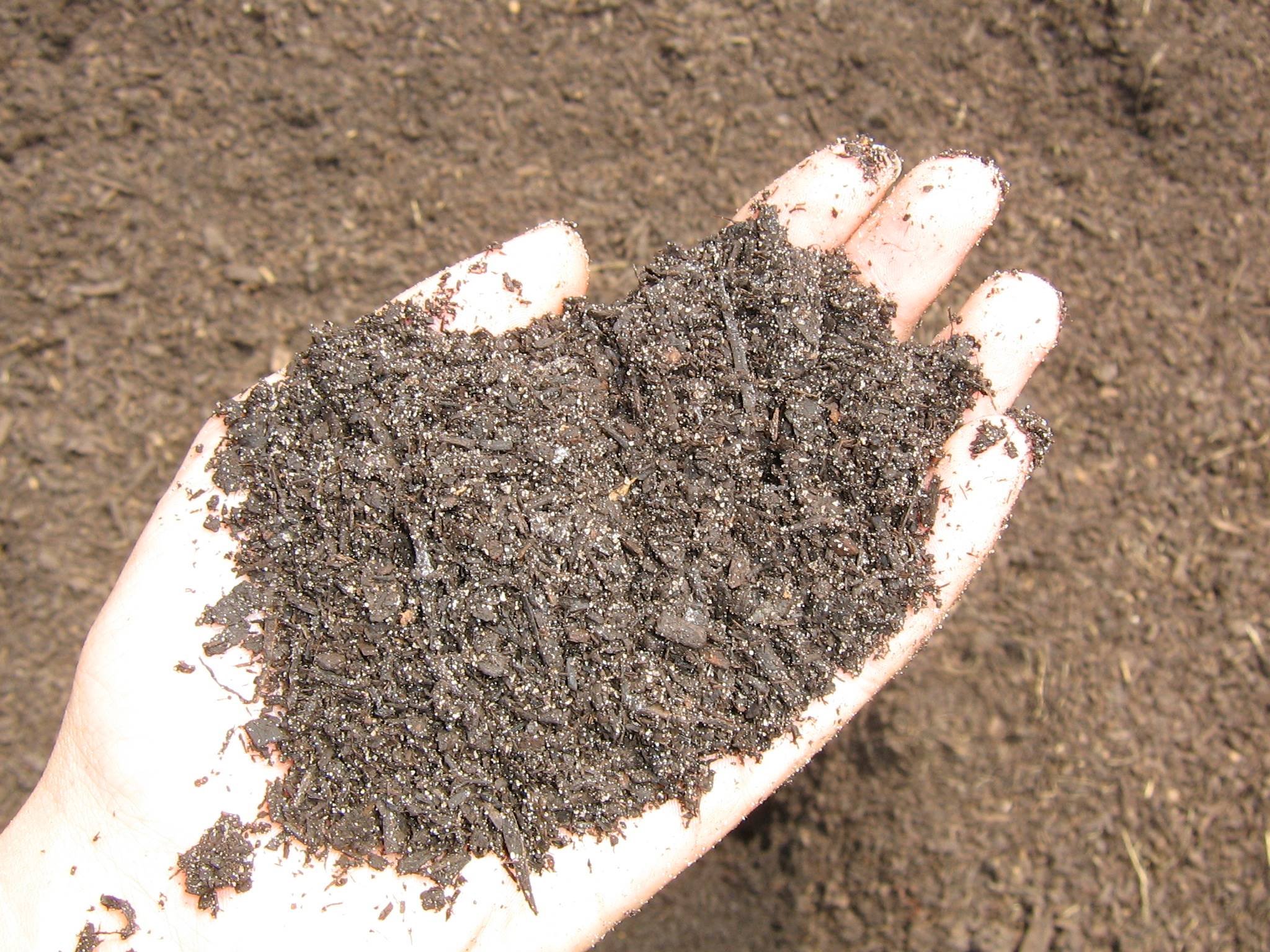 Mini Wooden Portable Compost Bin : 9 Steps (with Pictures) - Instructables