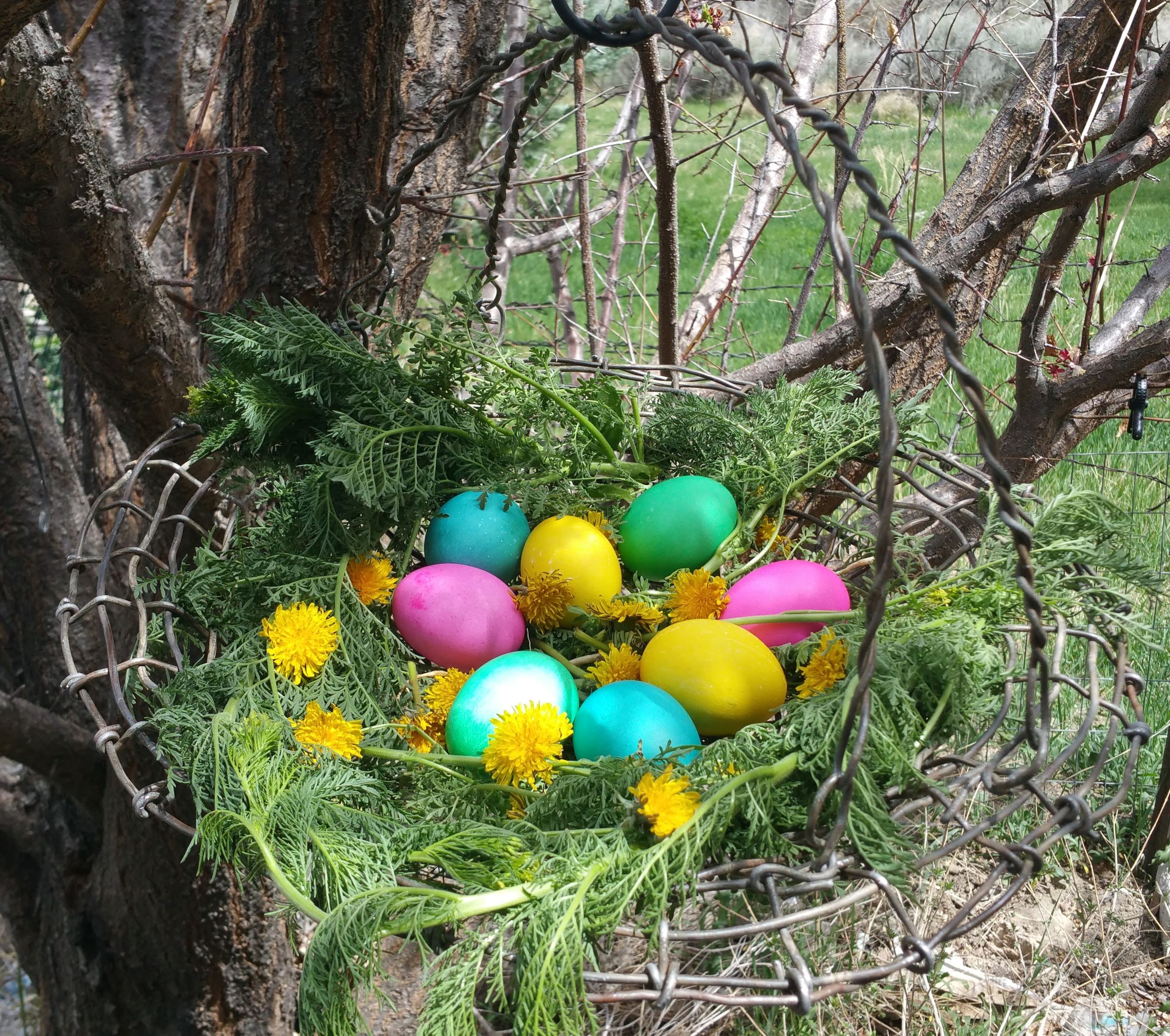 Wire Harvesting Basket : 14 Steps (with Pictures) - Instructables