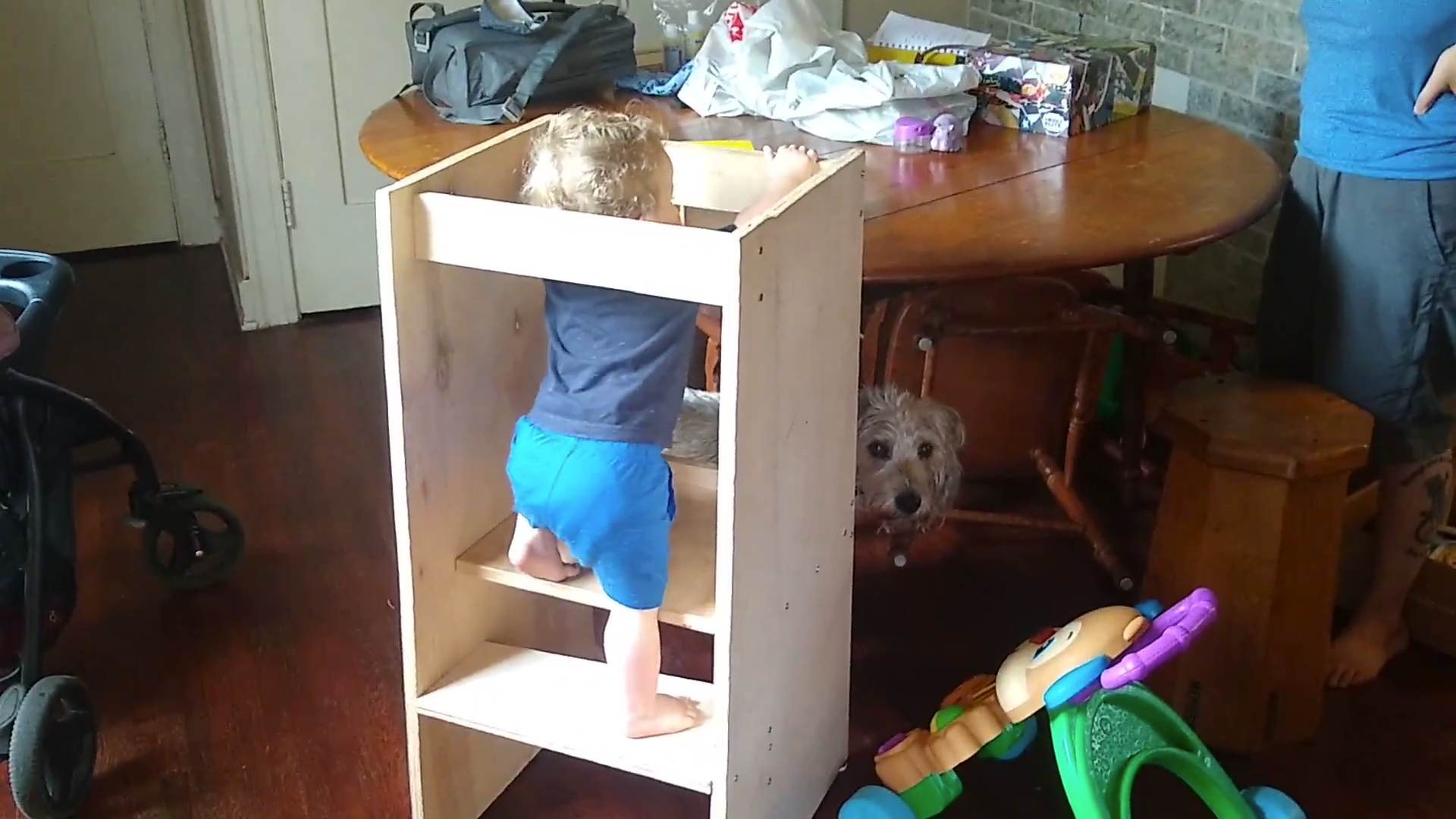 Easy One-Day-Build Toddler Learning Tower : 4 Steps (with Pictures ...