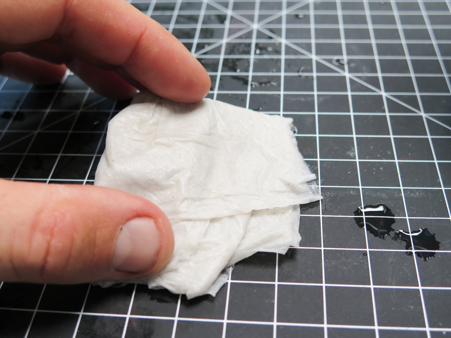 Grow Seeds Without Soil! : 4 Steps (with Pictures) - Instructables