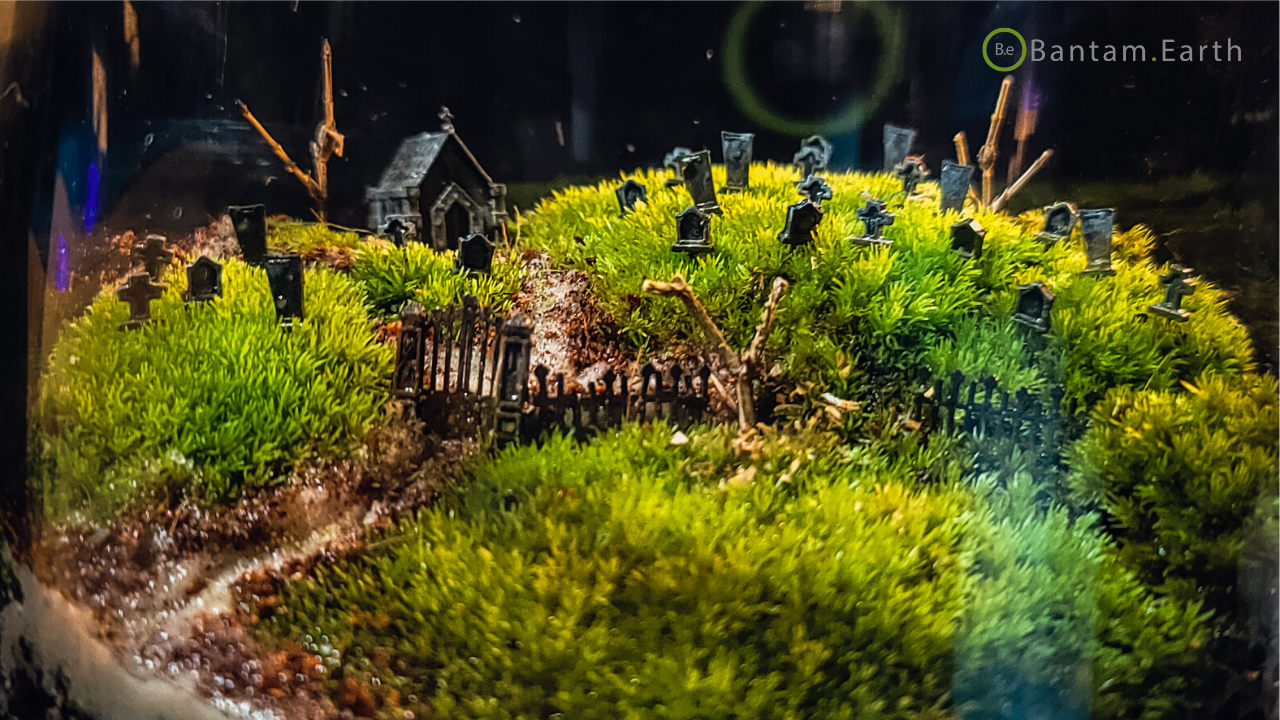 Make a Mini Graveyard Terrarium : 6 Steps (with Pictures) - Instructables