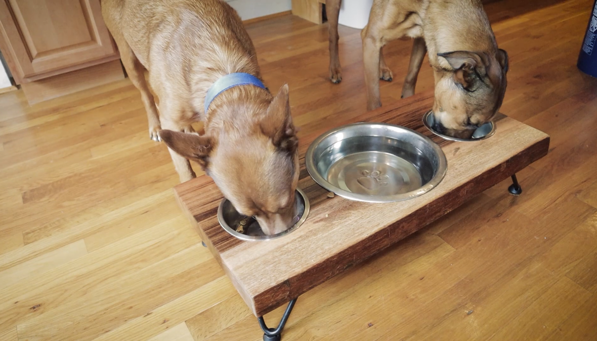 How to Build a Dog Food Bowl Stand : 6 Steps (with Pictures ...