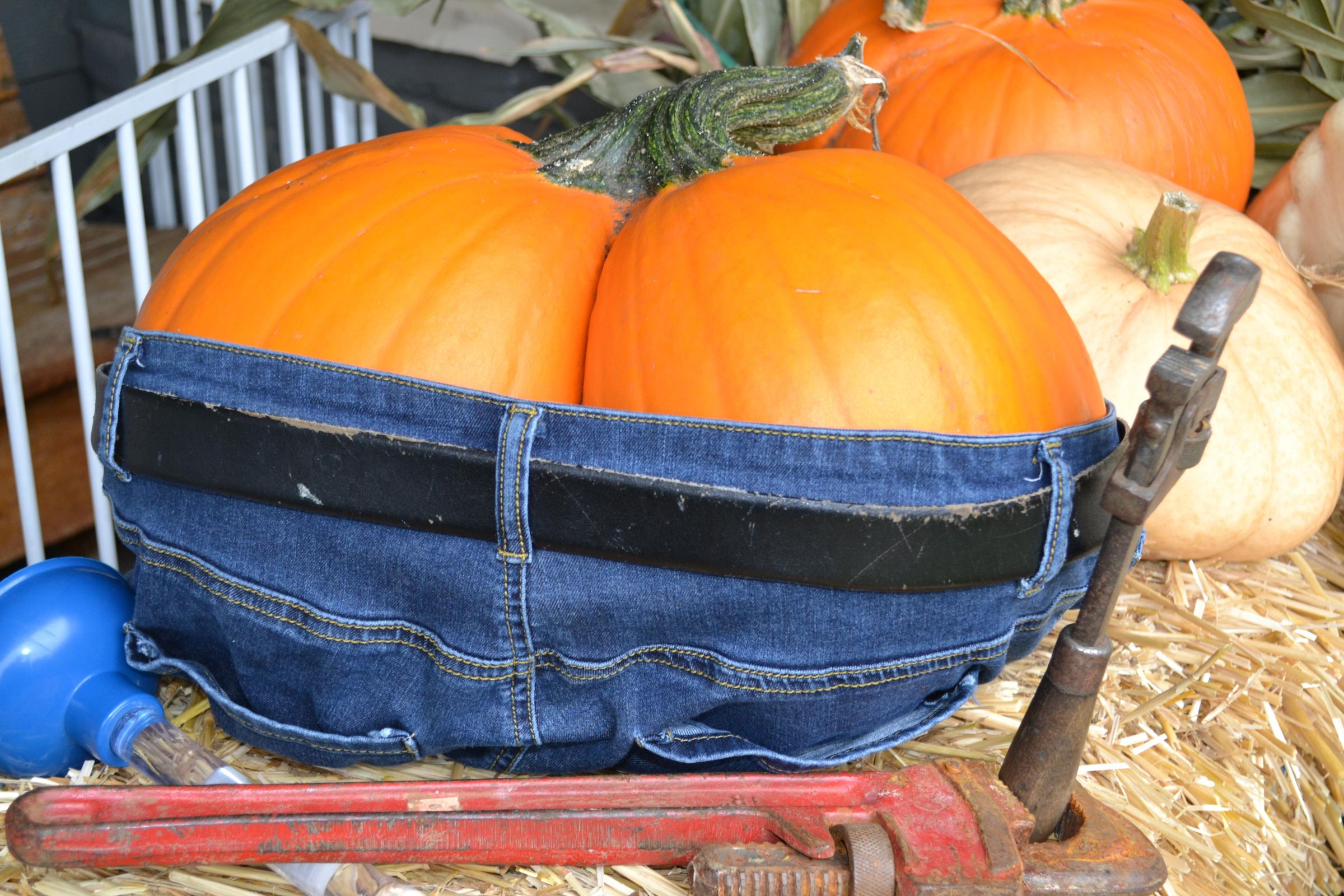 What Does a Rumpkin at Work Look Like? : 3 Steps (with Pictures ...