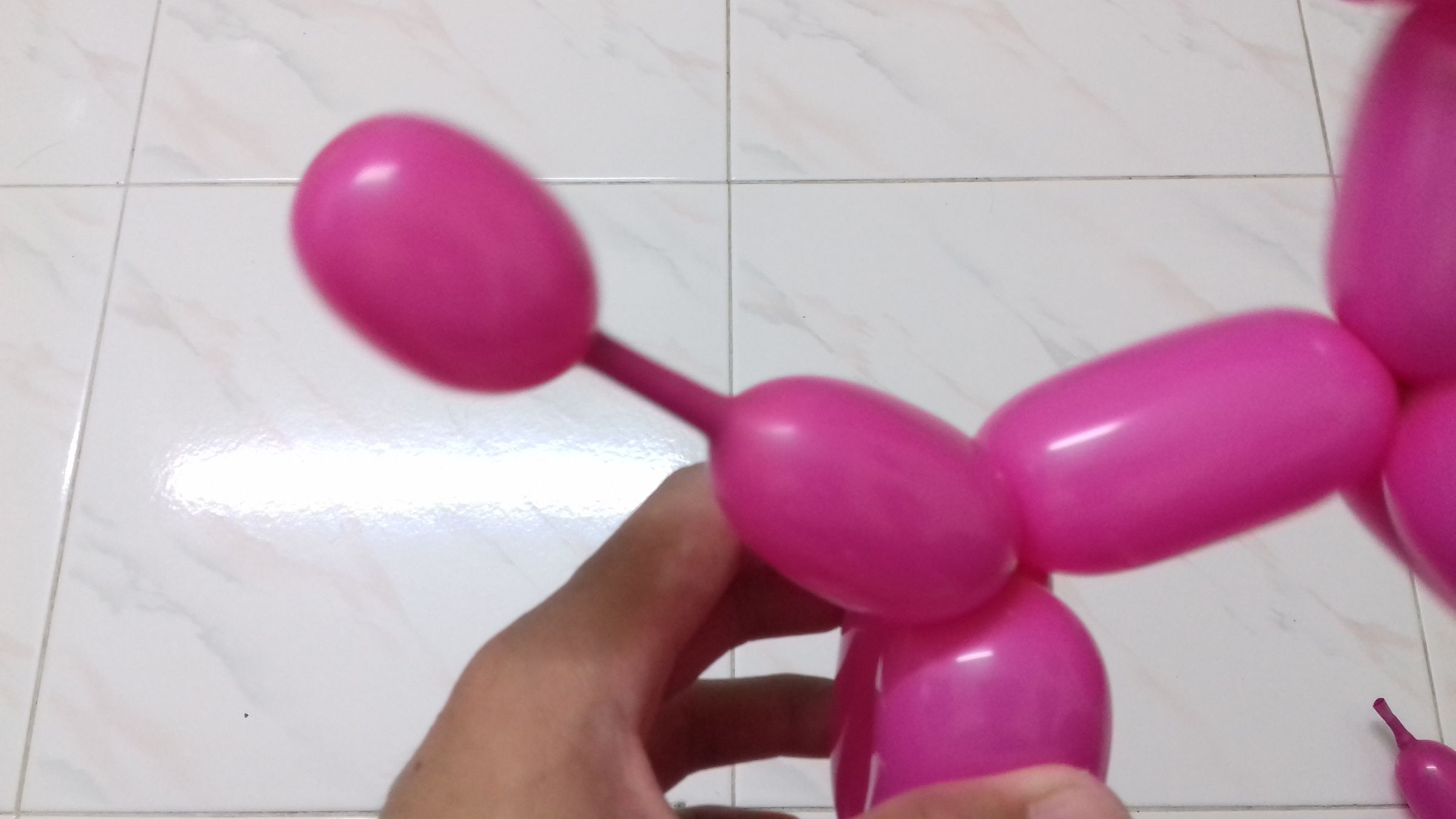 Balloon Twisting - Poodle : 6 Steps (with Pictures) - Instructables
