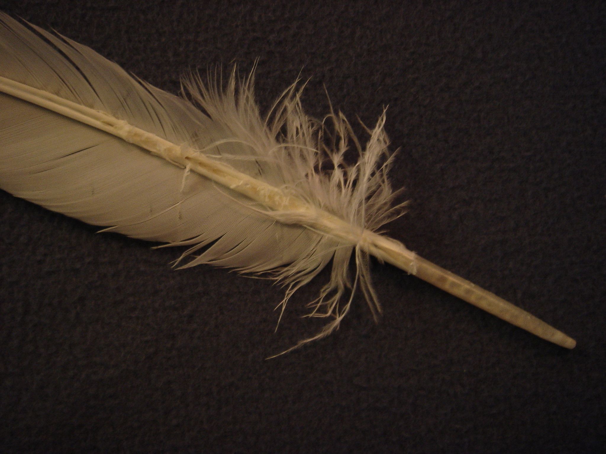 How to Make a Pair of Angel Wings : 15 Steps (with Pictures ...
