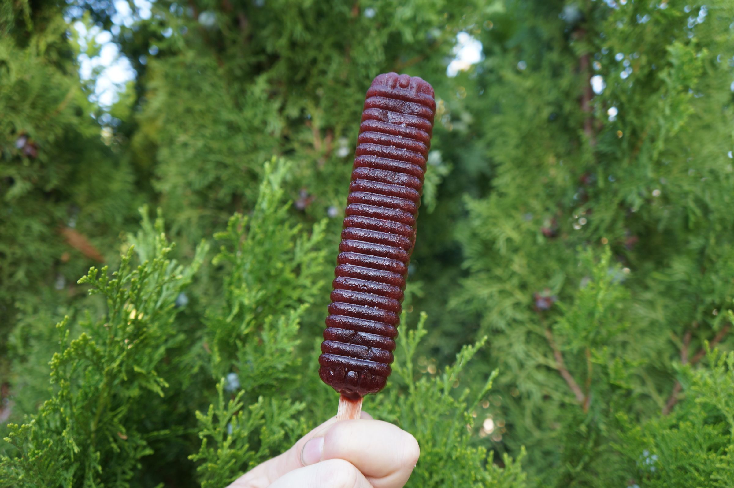 Real Cherry Popsicle With Added Trace Minerals : 6 Steps (with Pictures ...