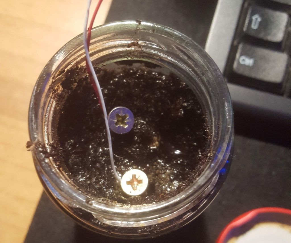 Homemade Plant Moisture Sensor