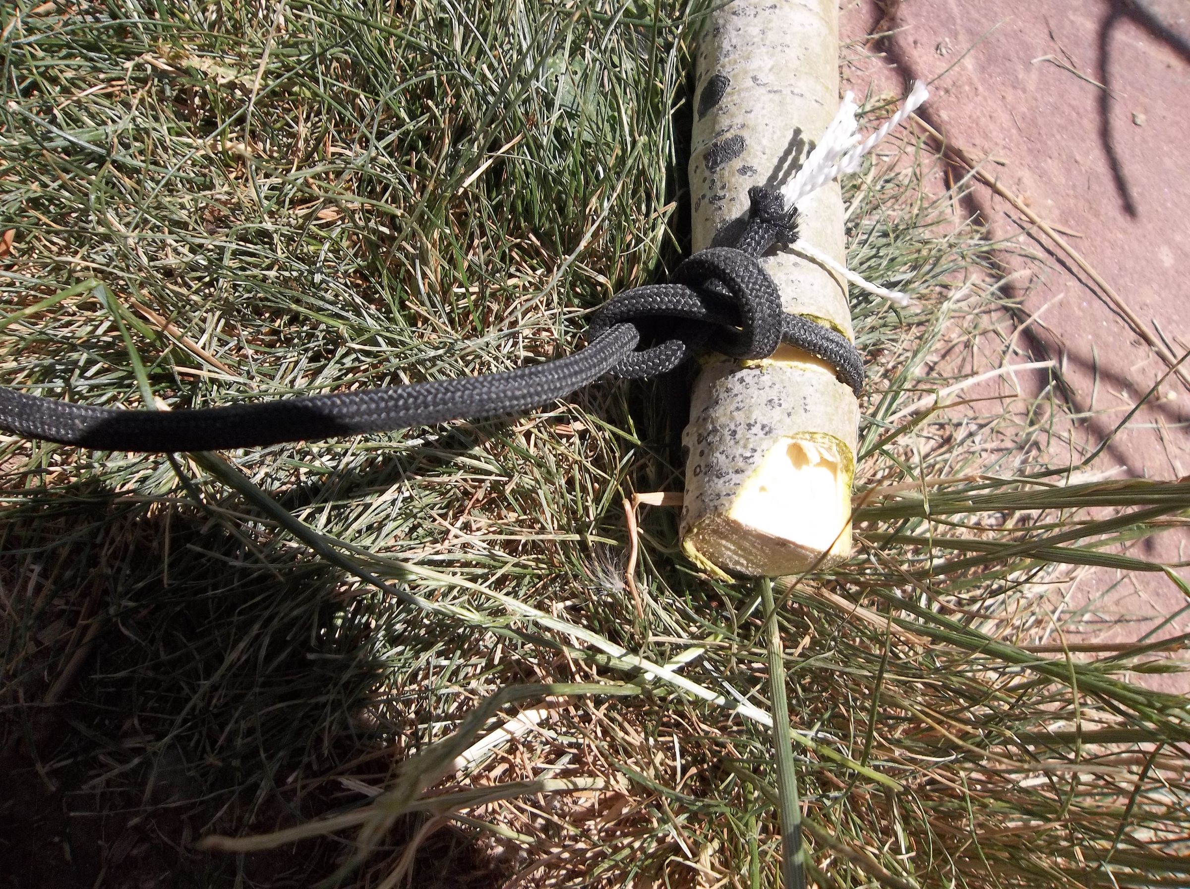 Paiute Deadfall Trap : 4 Steps (with Pictures) - Instructables