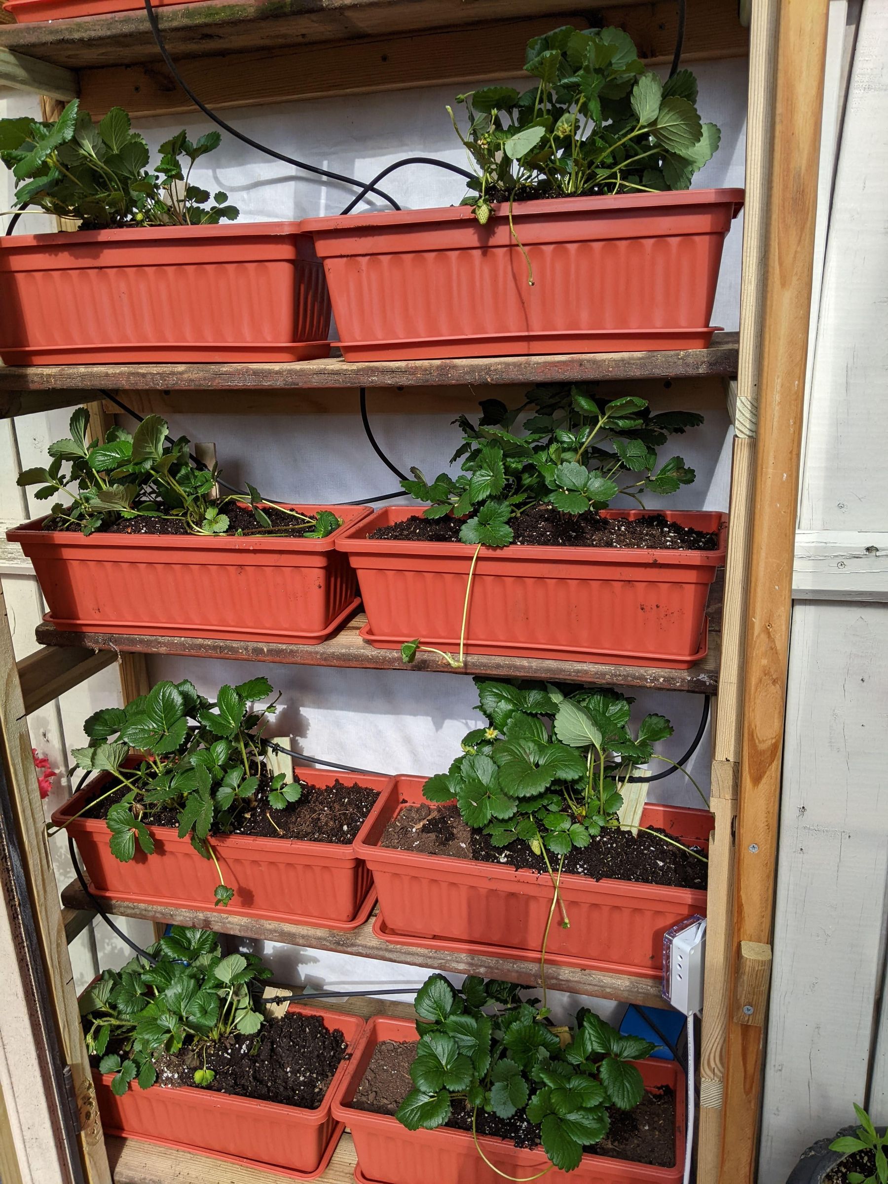 Arduino Managed Greenhouse - SHProject 6 : 8 Steps - Instructables