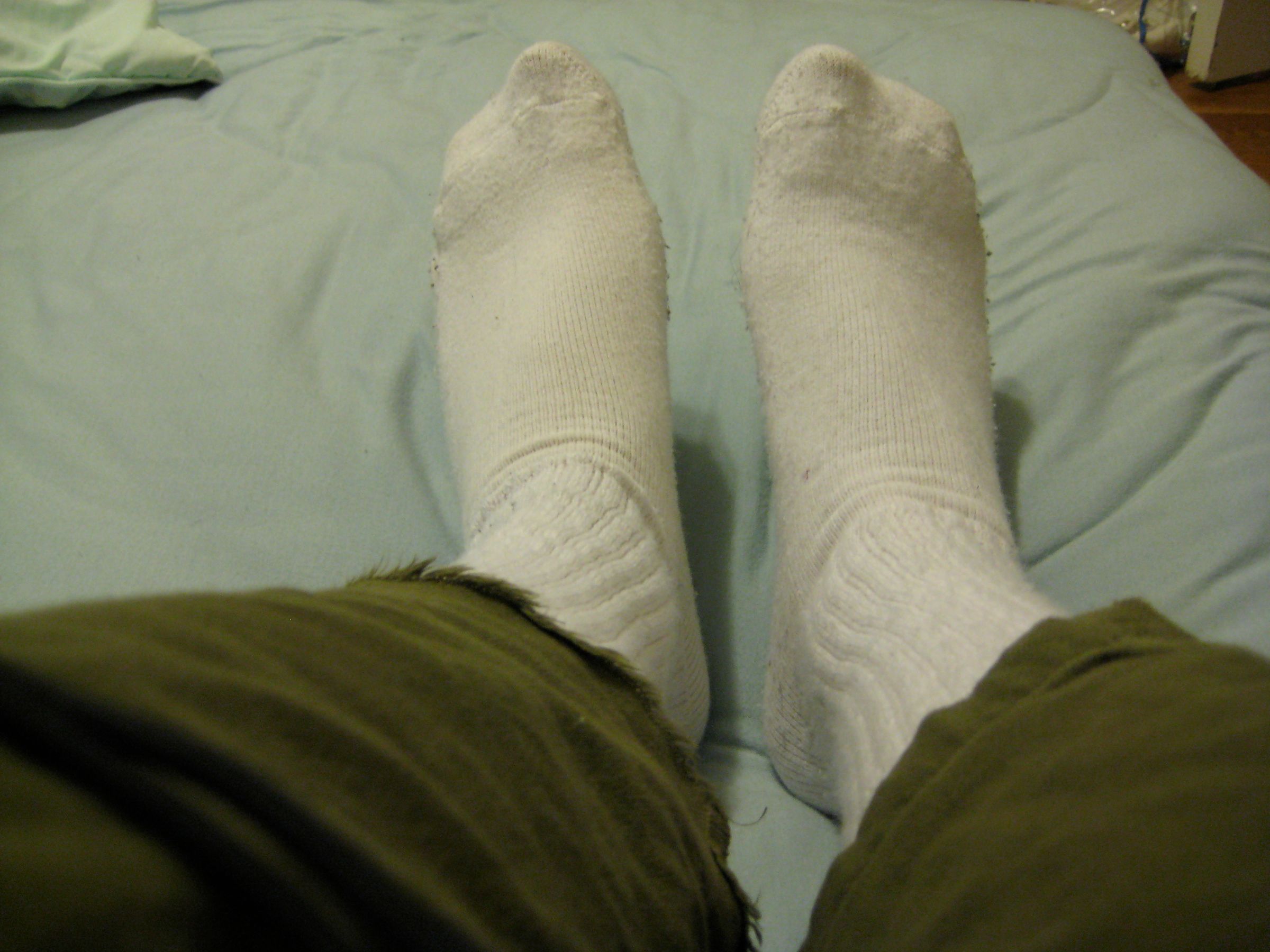 How to Catch Fleas : 7 Steps - Instructables