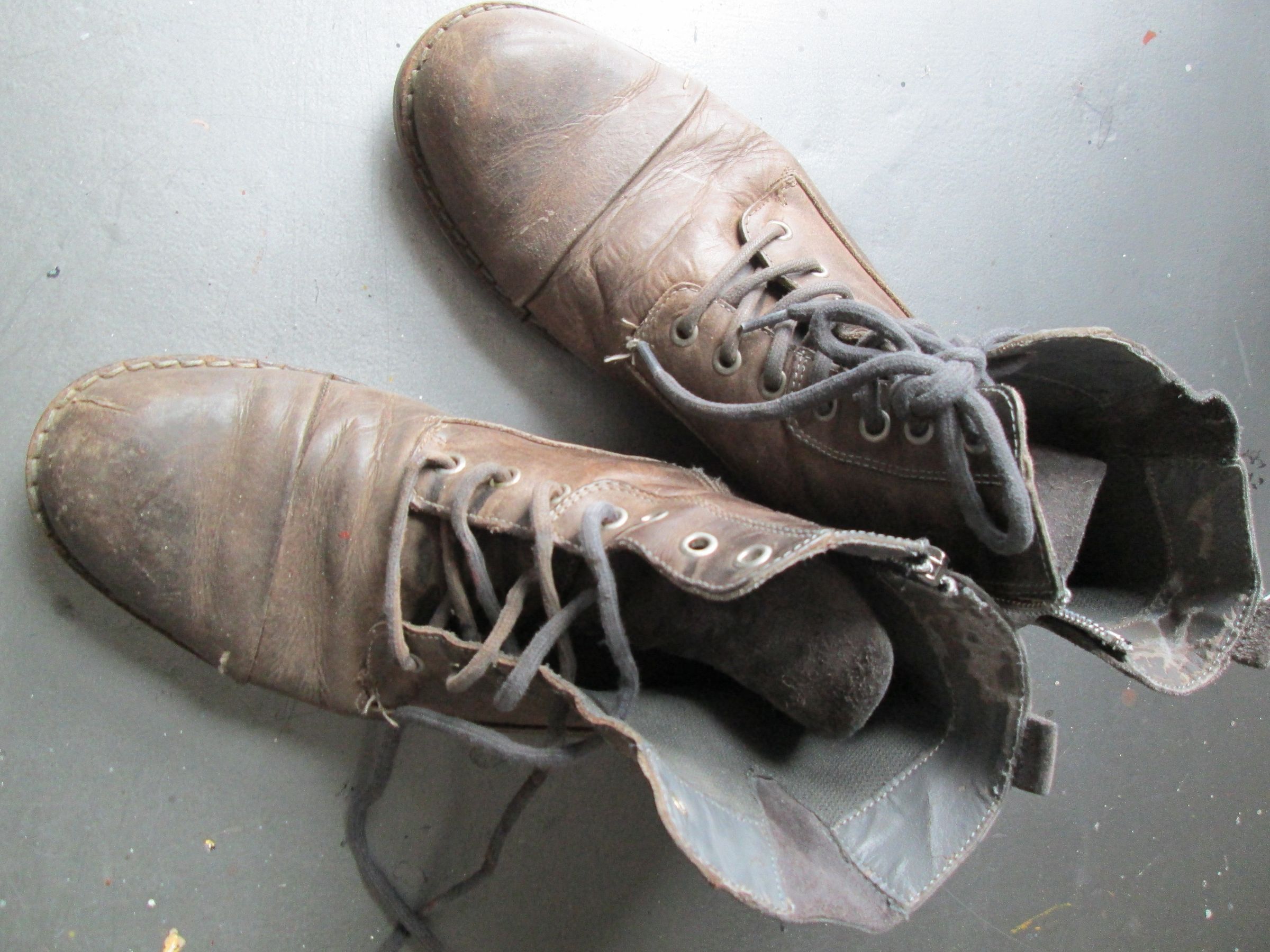 Schubert the Shoe Bird : 8 Steps - Instructables