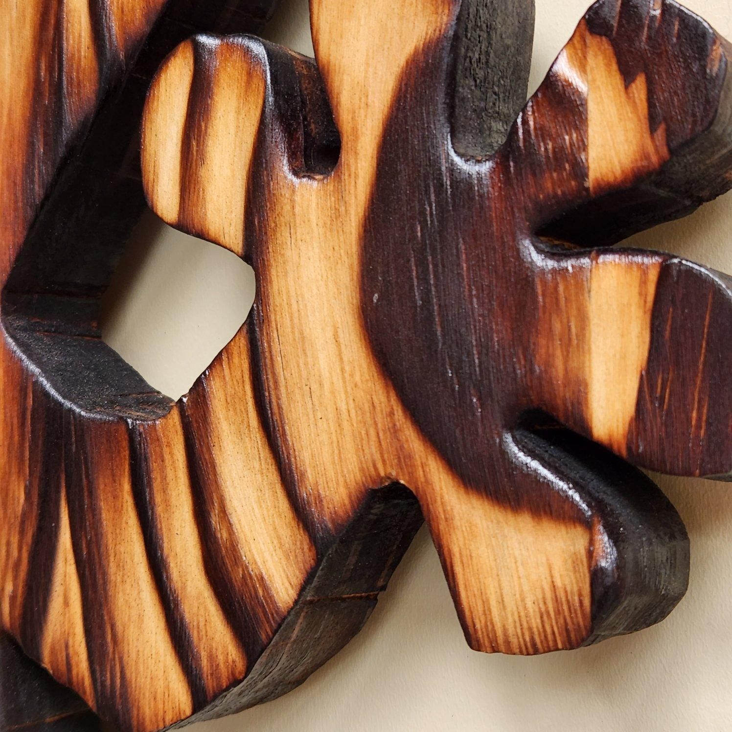 How to Make a Shou Sugi Ban Wall Lizard : 10 Steps (with Pictures ...
