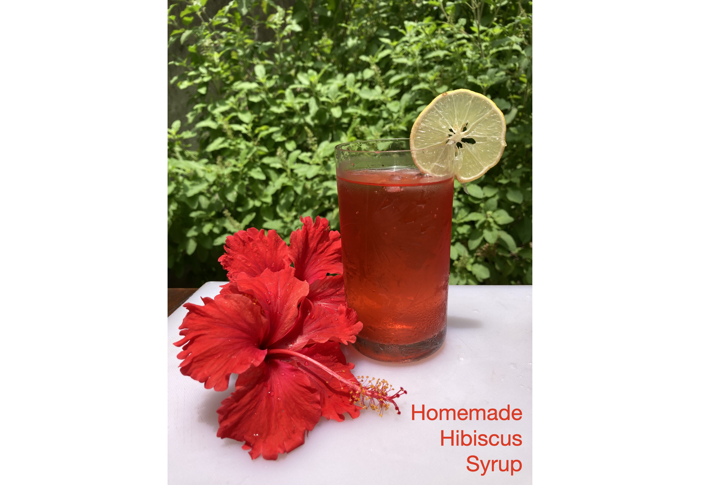 Homemade Hibiscus Syrup (from Homegrown Hibiscus Tree) : 7 Steps (with ...
