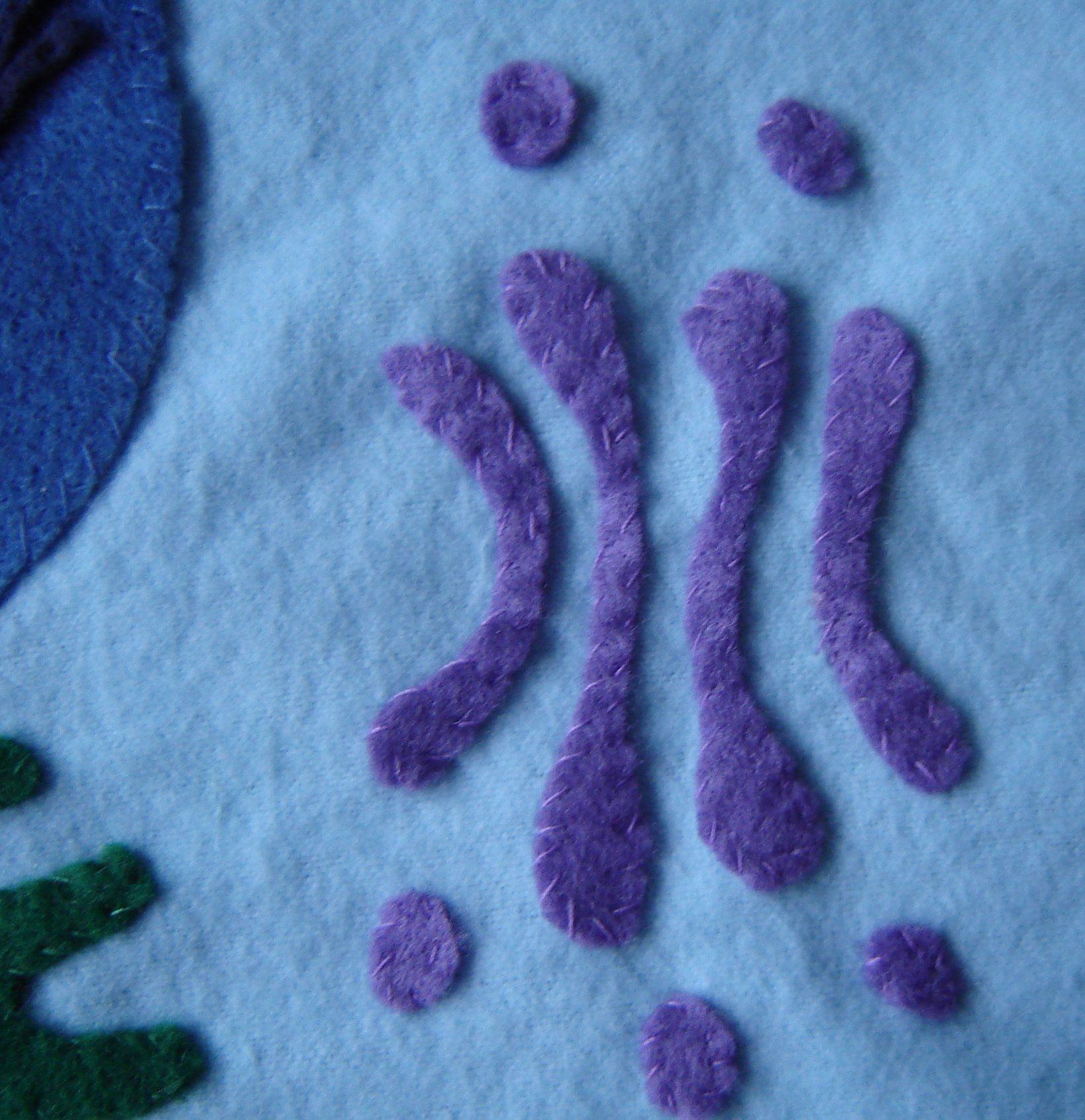 Plush Cell Model : 13 Steps (with Pictures) - Instructables