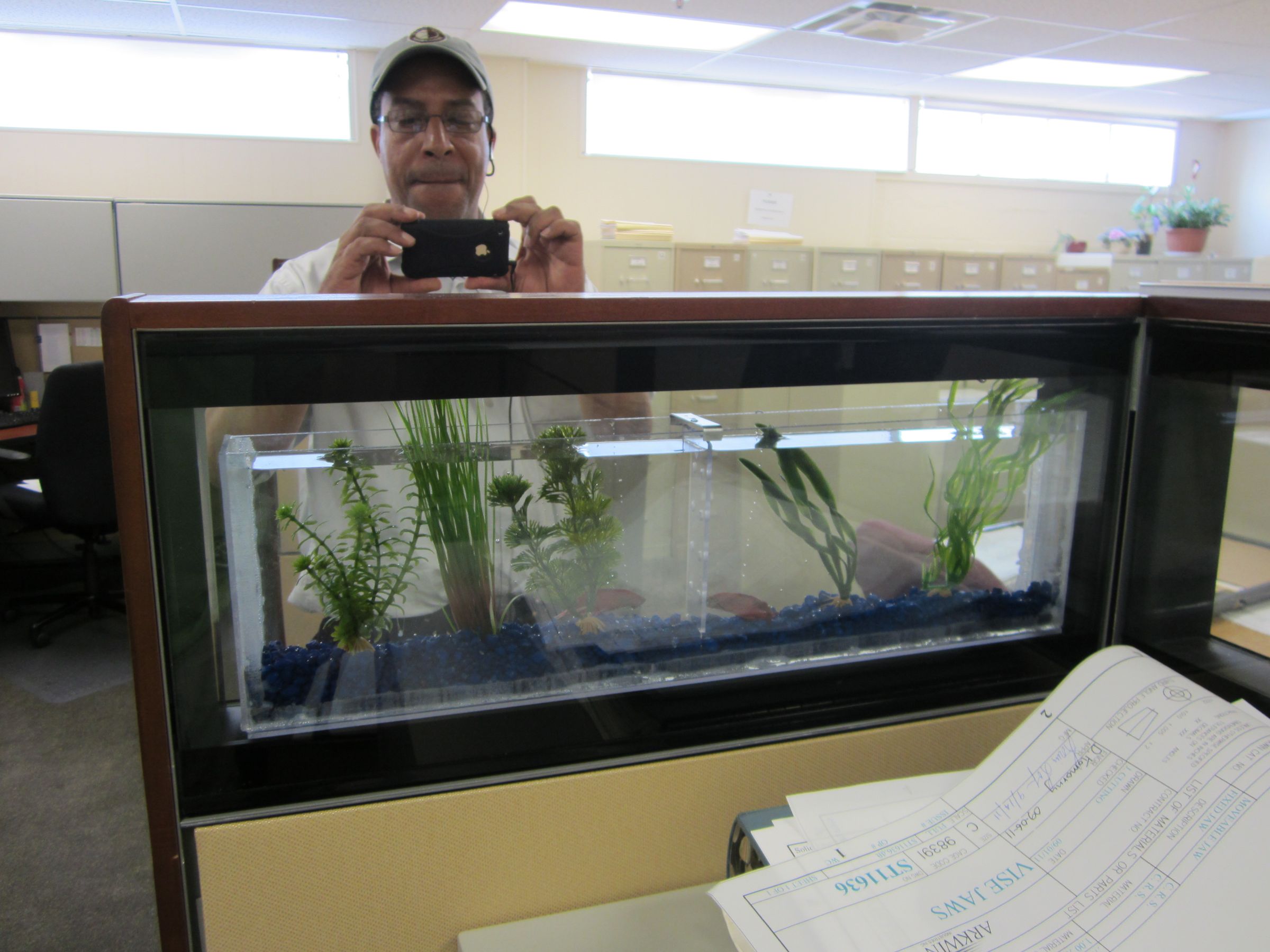 DIY Office Fishtank : 4 Steps - Instructables