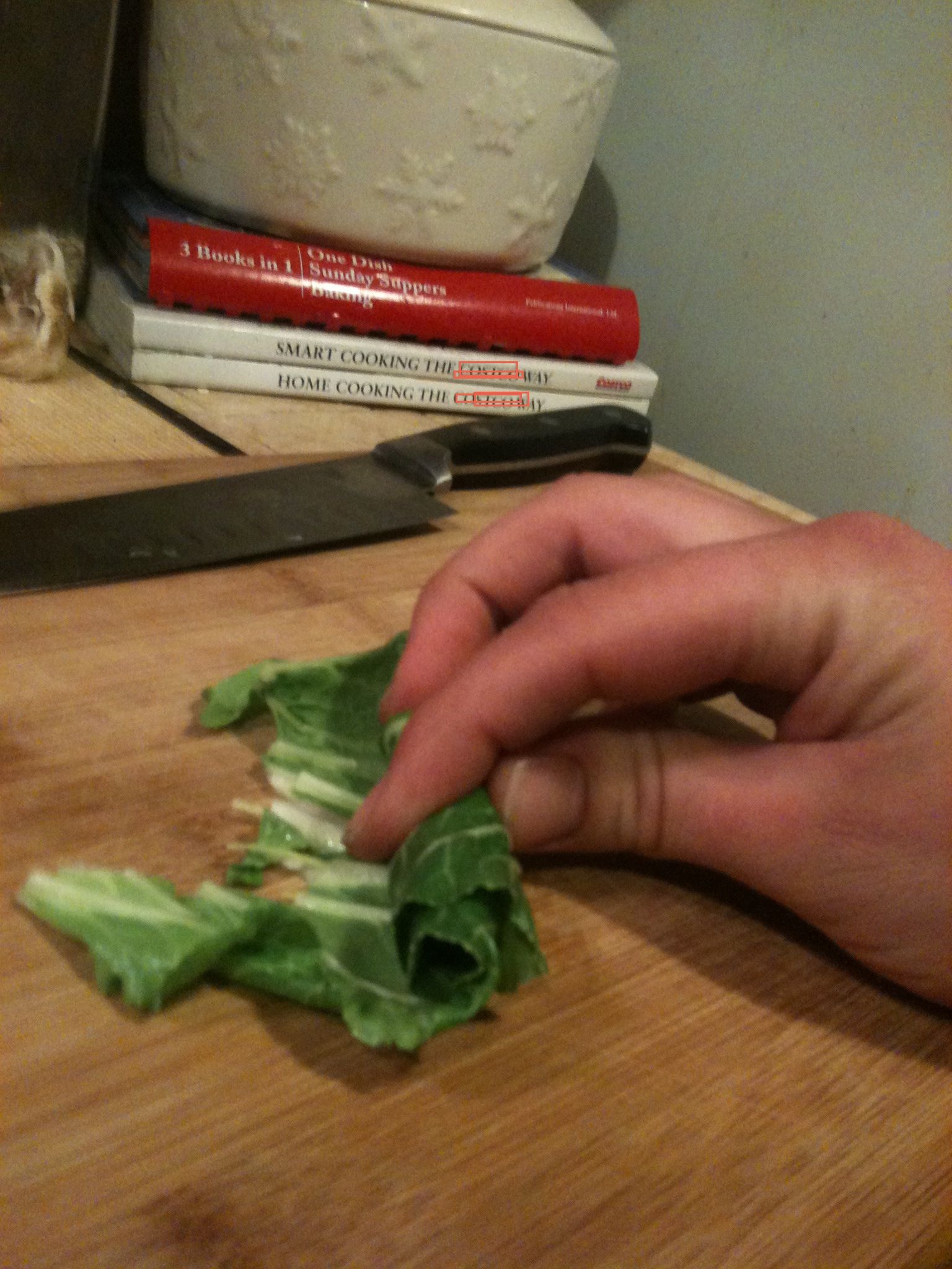 How to Shred Lettuce the Fancy Way : 7 Steps - Instructables