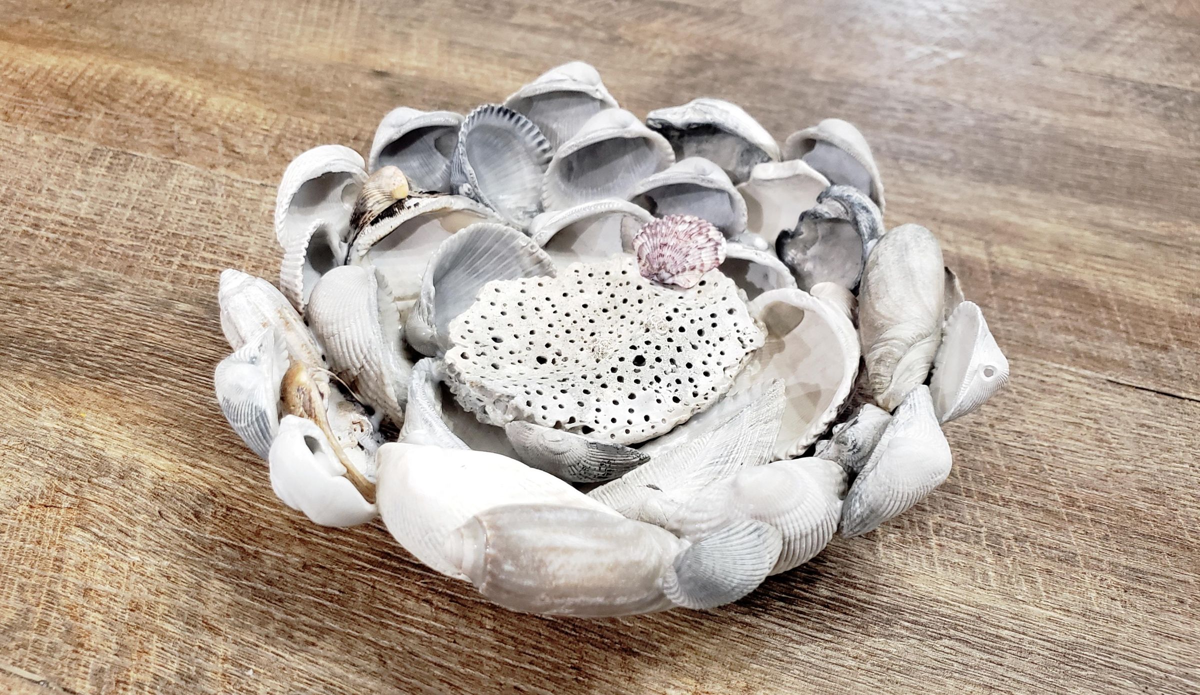 Vacation Memento Shell Bowl : 4 Steps (with Pictures) - Instructables