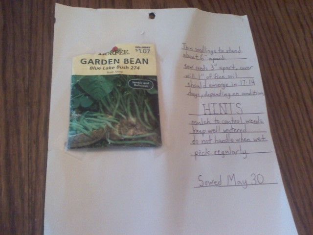 How to Make a Seed Card : 6 Steps (with Pictures) - Instructables