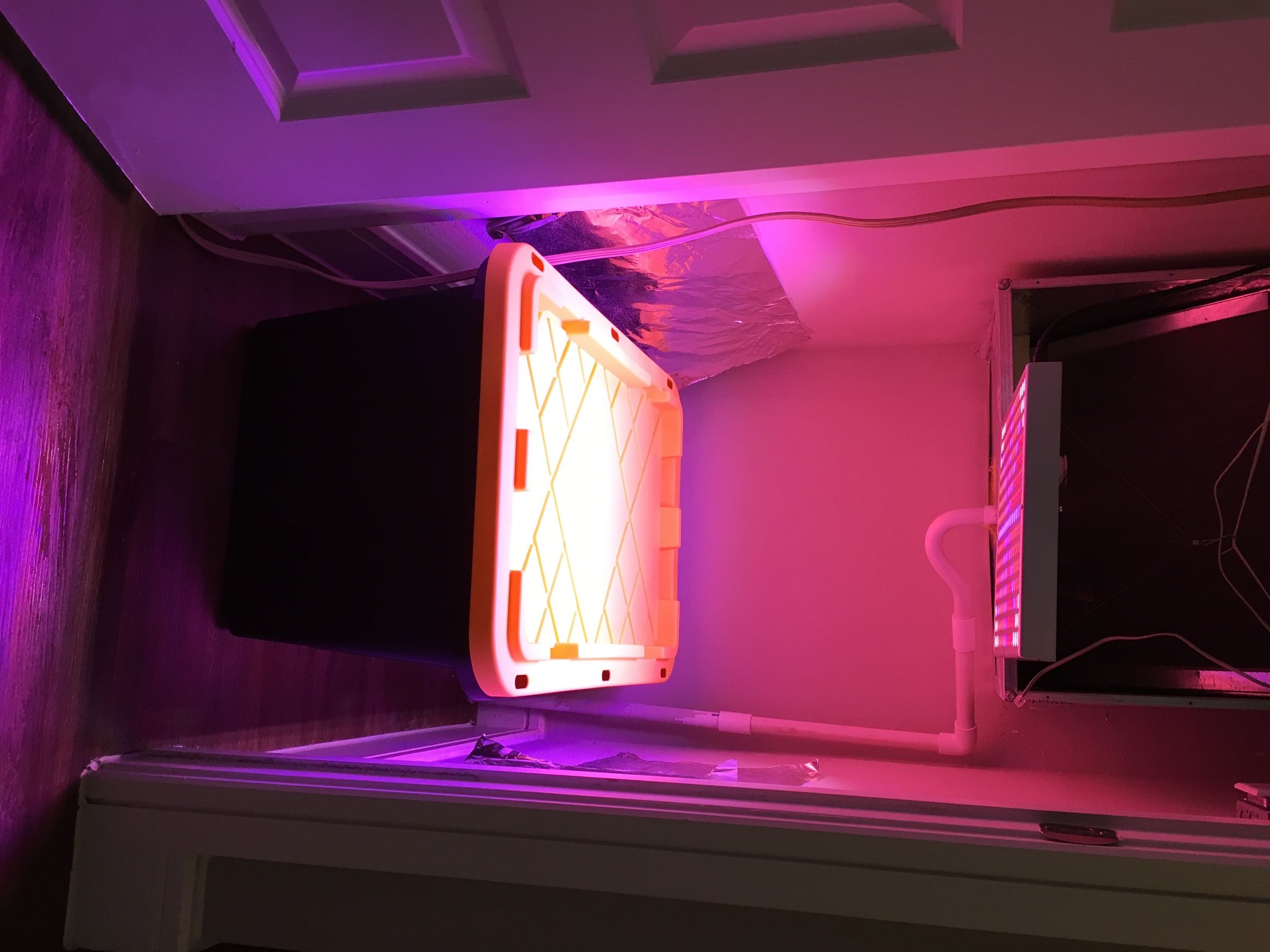 TRUE Aeroponics - Simple Indoors Low Water Lettuce Growing Fogponics ...