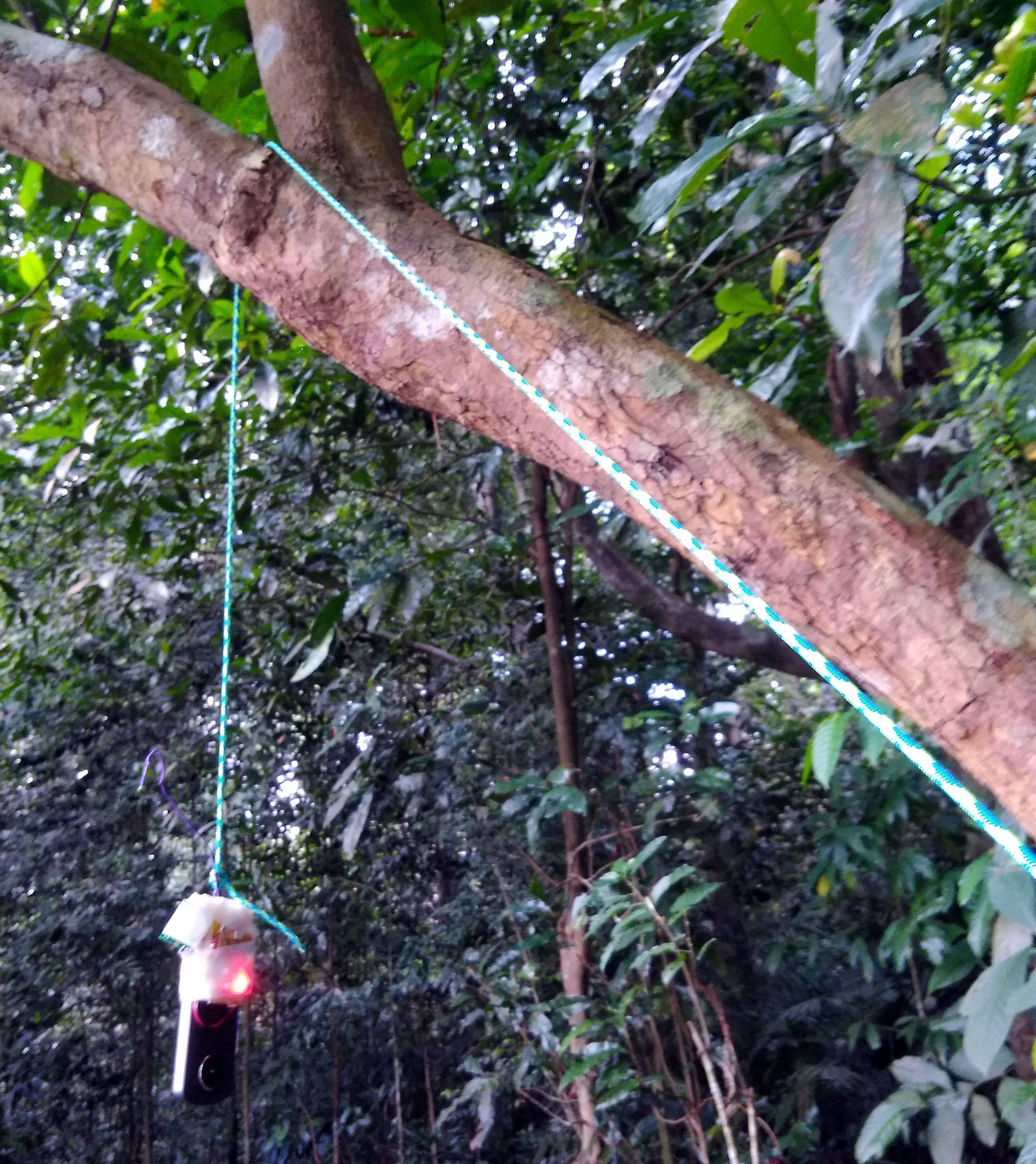 360 Virtual Reality Camera Trap : 16 Steps (with Pictures) - Instructables